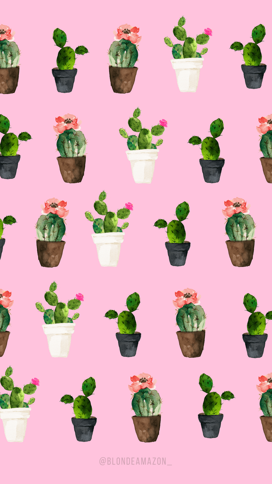 Pink Succulent Phone Wallpapers - Wallpaper Cave