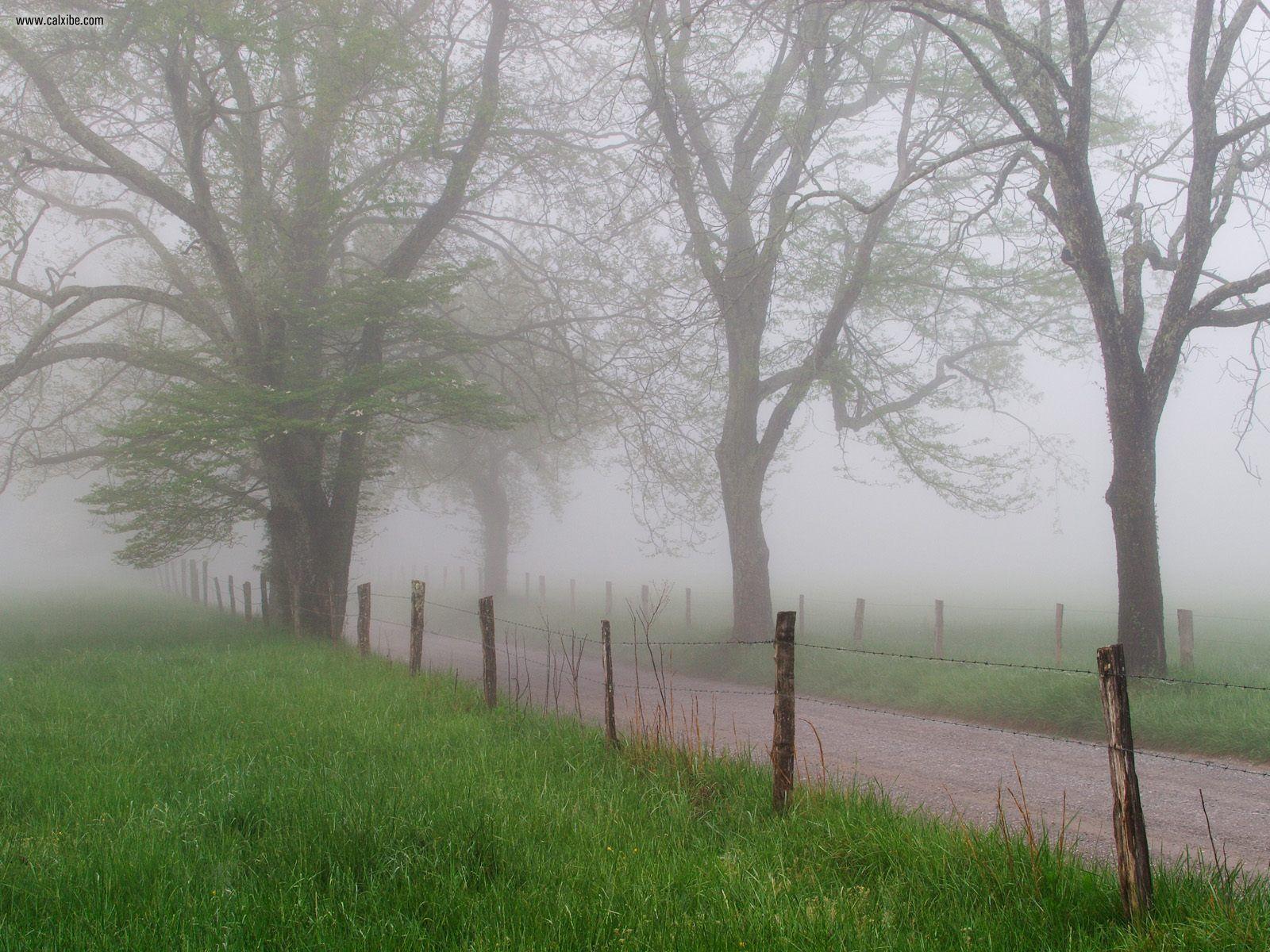 Early Spring Mountain Wallpapers - Wallpaper Cave