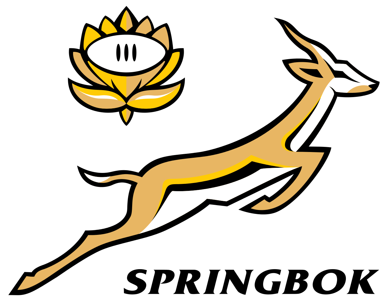 Springboks 2019 Wallpapers - Wallpaper Cave