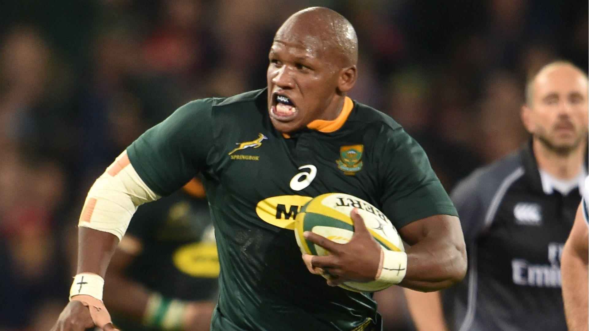 Springboks 2019 Wallpapers - Wallpaper Cave