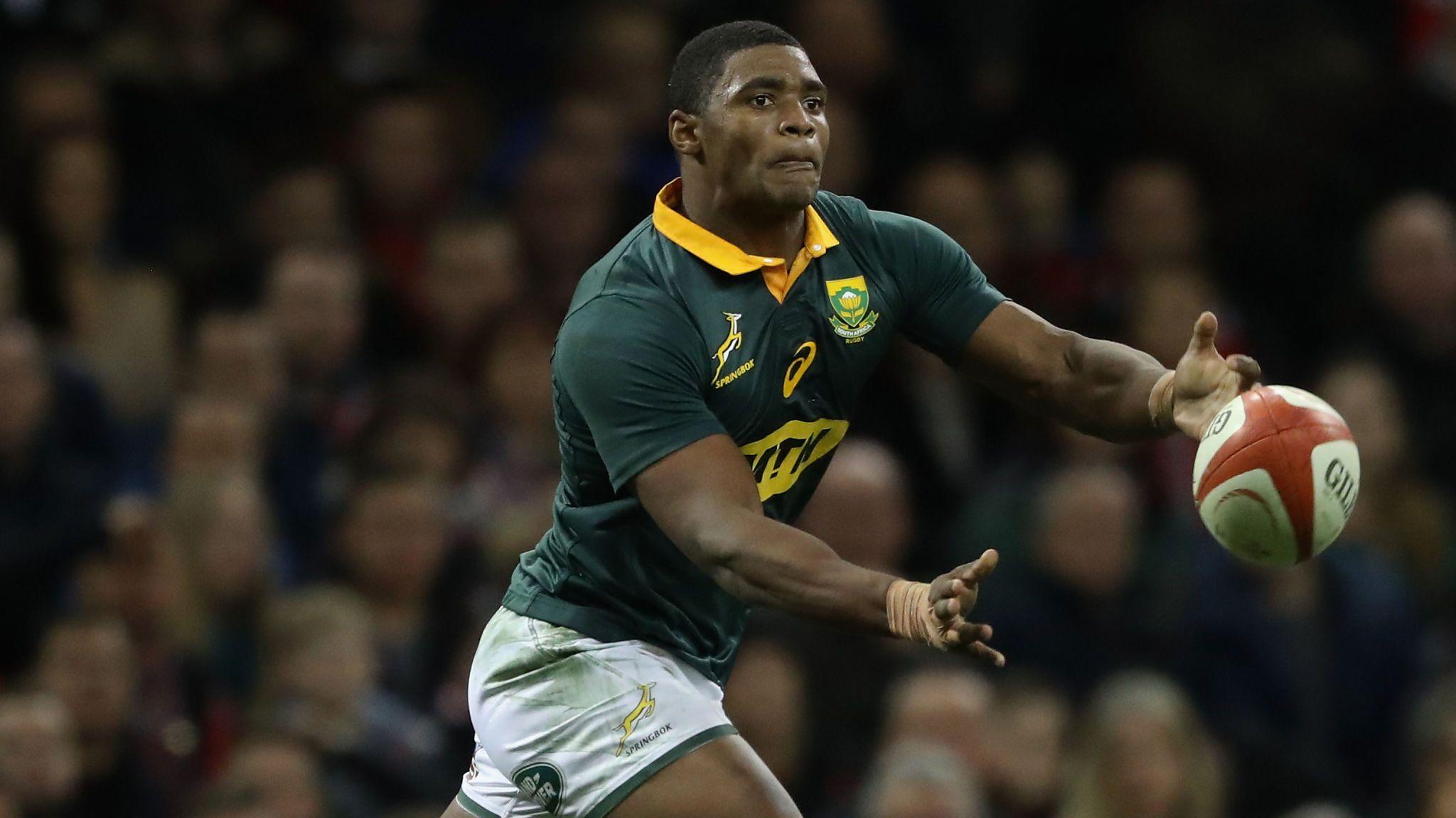 Springboks 2019 Wallpapers - Wallpaper Cave