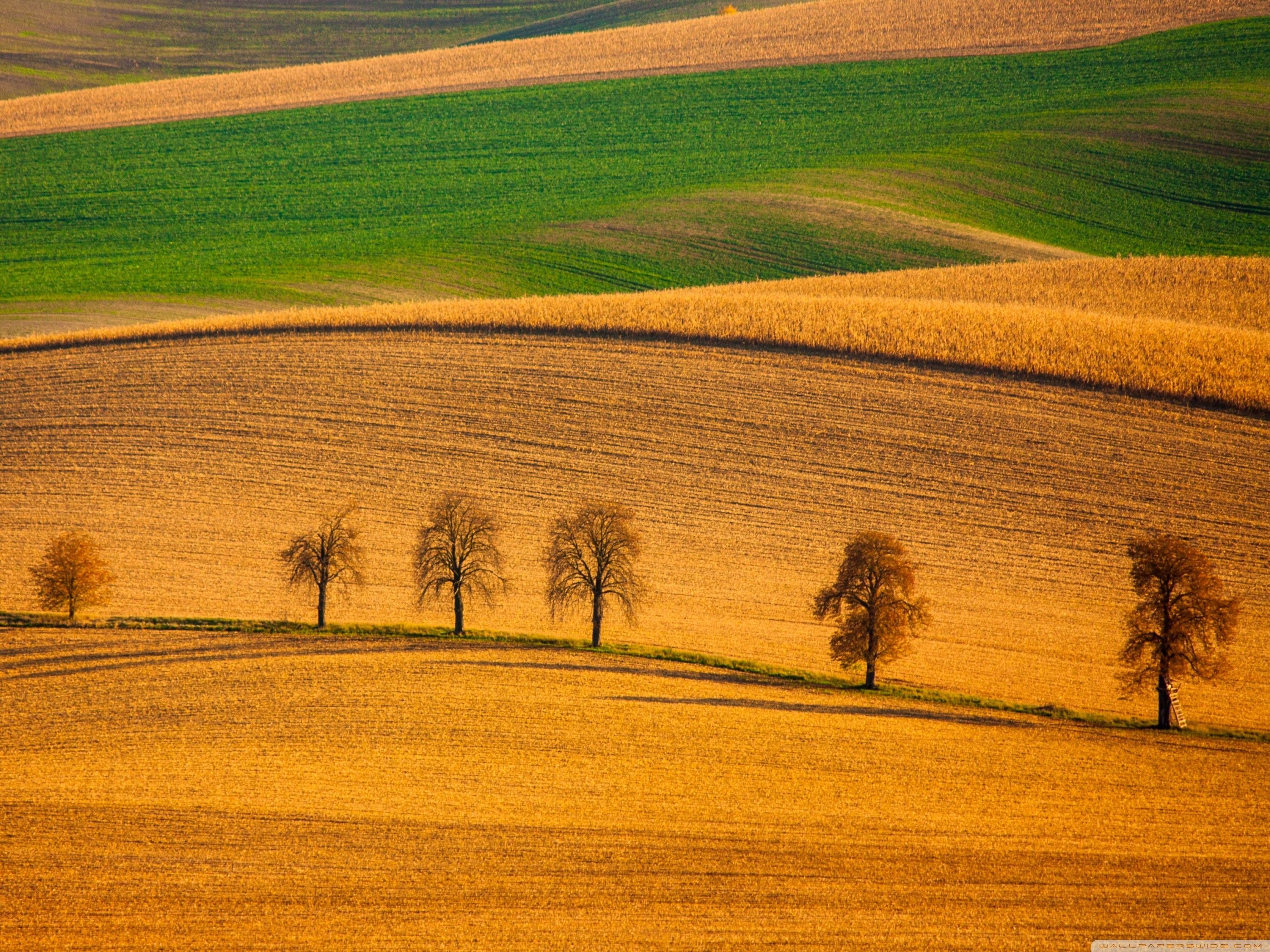 Hills Landscape Wallpapers - Wallpaper Cave