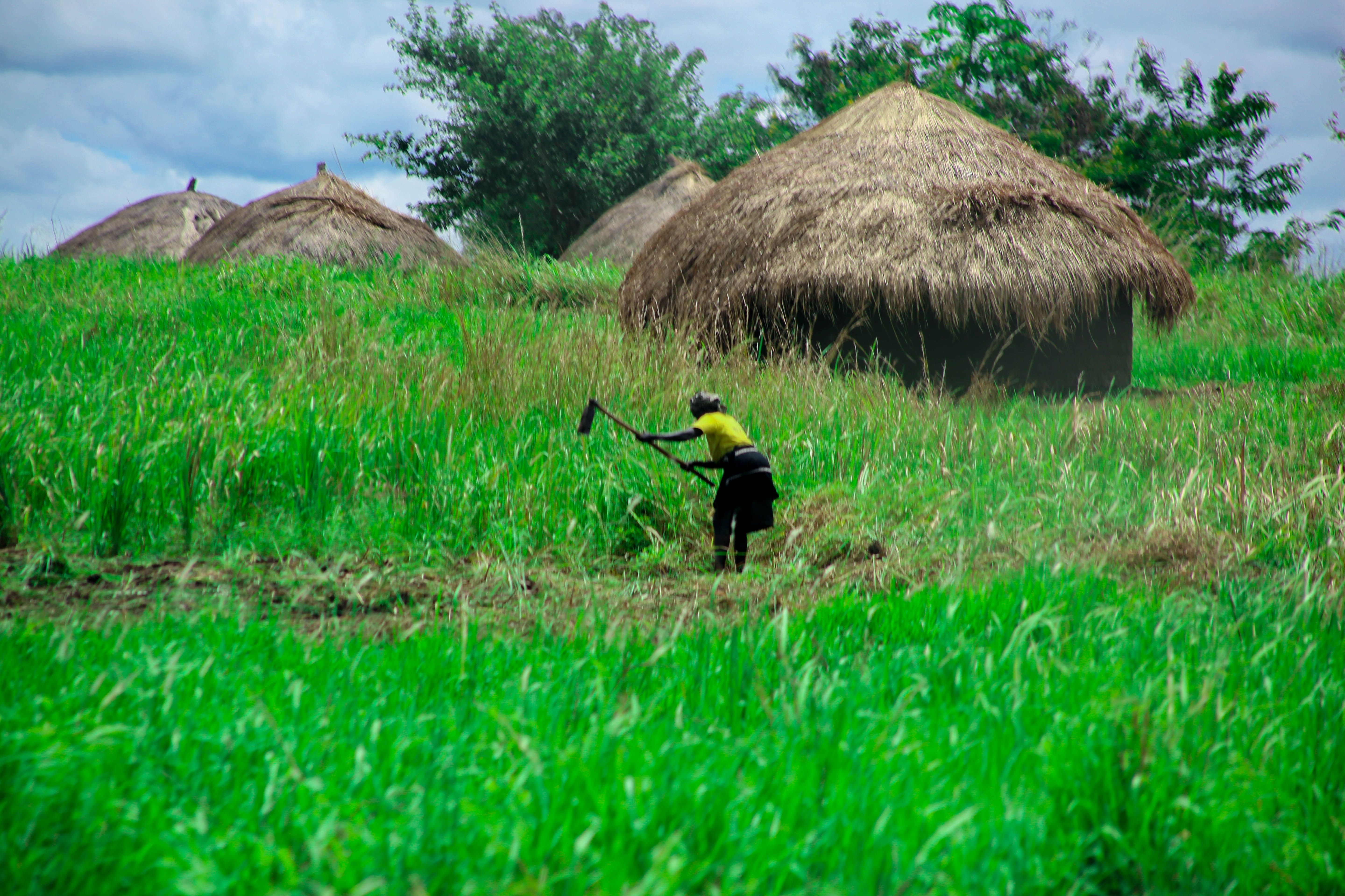 Women Farmer Wallpapers - Wallpaper Cave