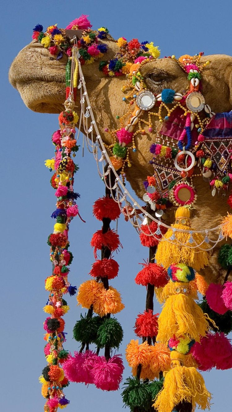 Rajasthani Mobile Wallpapers - Wallpaper Cave