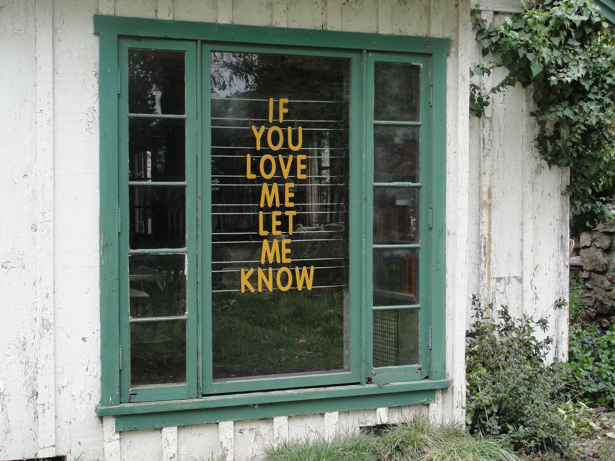 We Bought A Zoo Wallpapers - Wallpaper Cave