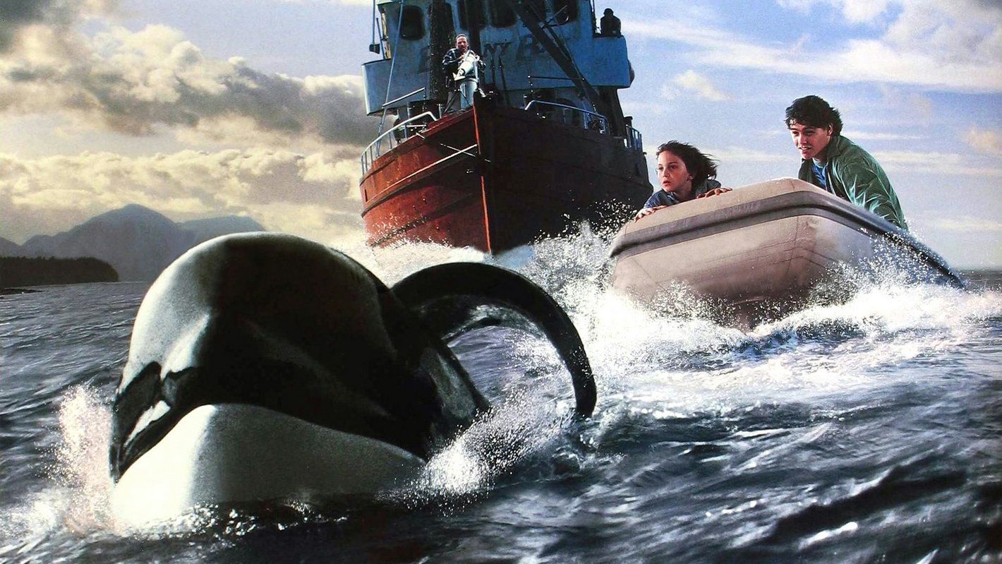 Free Willy 3: The Rescue Wallpapers - Wallpaper Cave