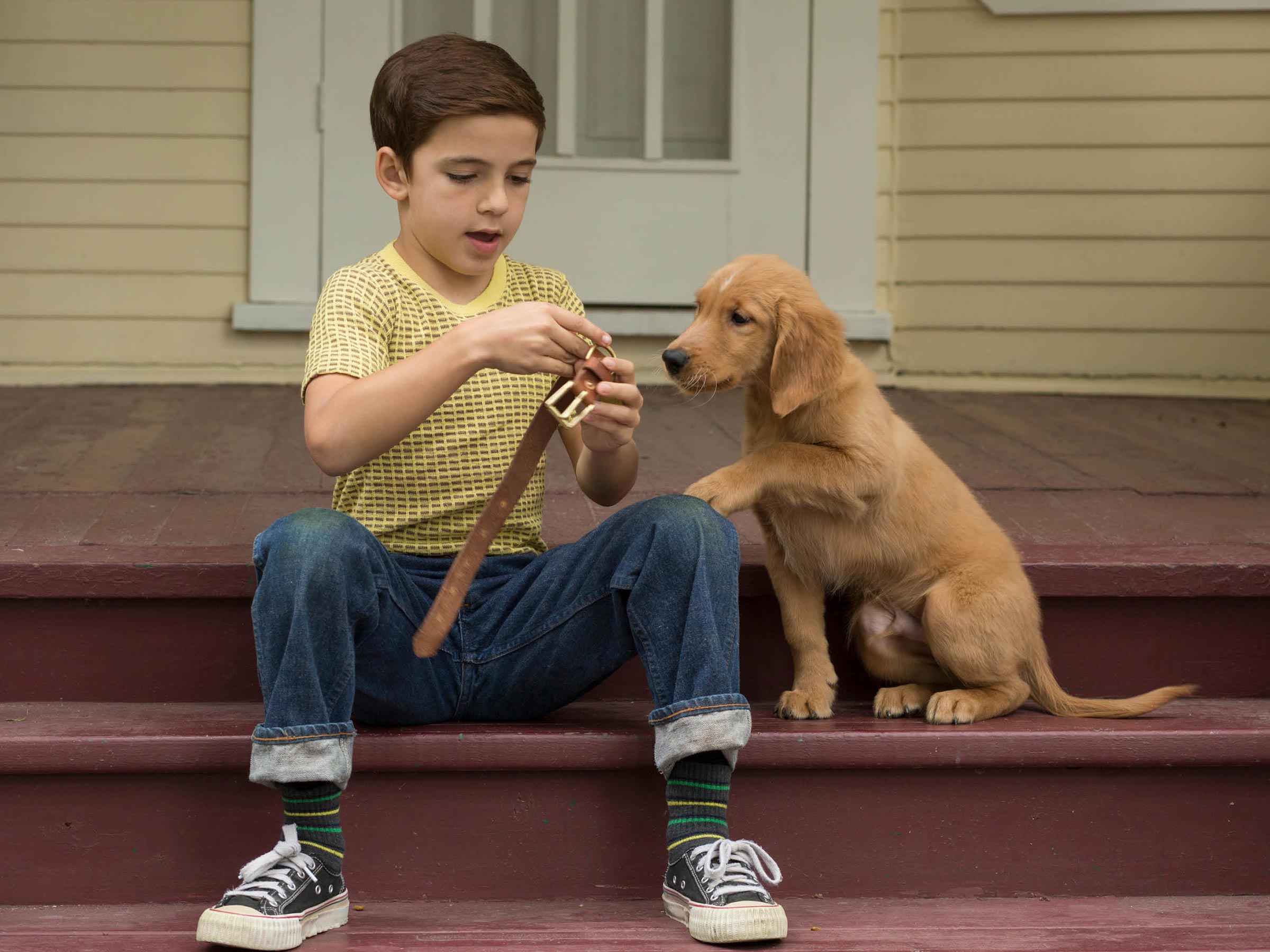 Bryce Gheisar Wallpapers - Wallpaper Cave