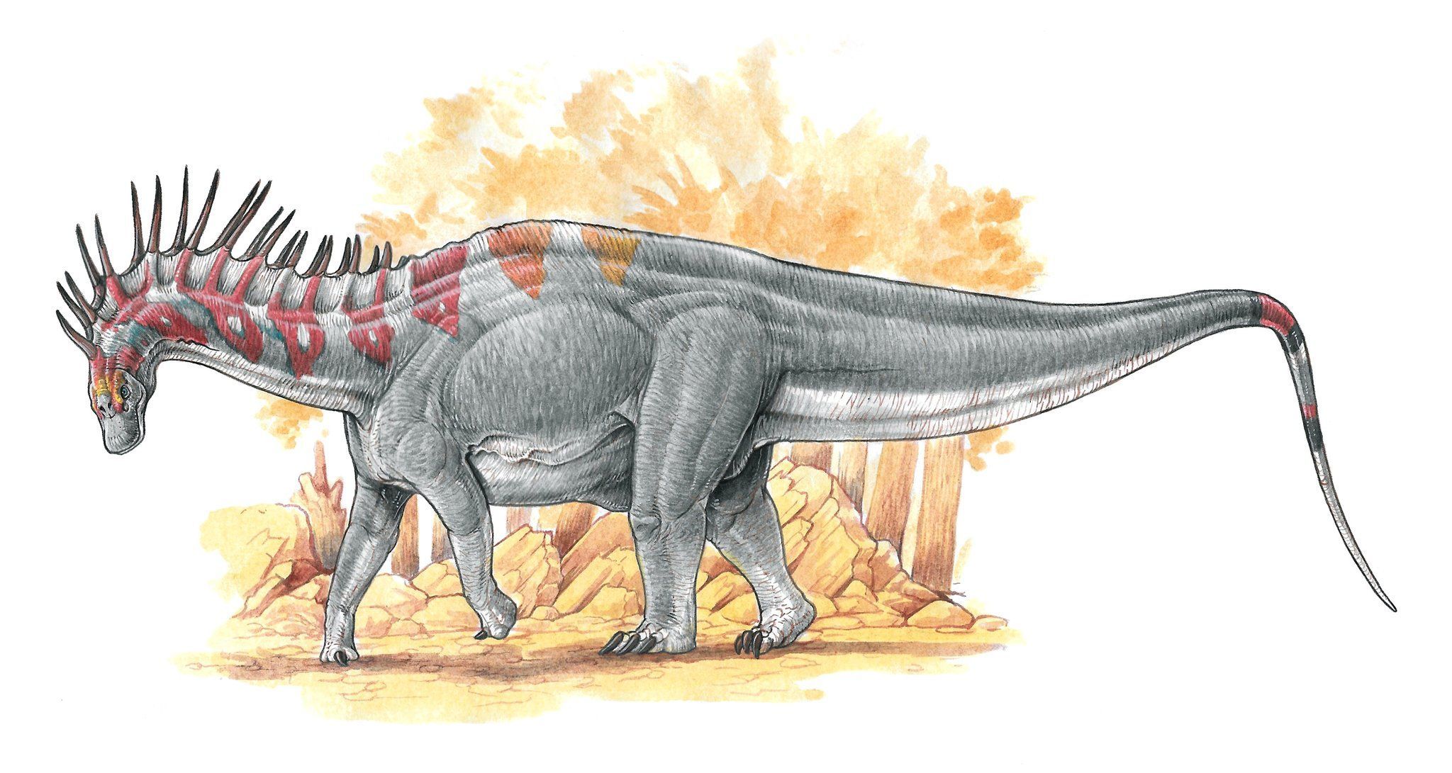 Amargasaurus Wallpapers - Wallpaper Cave