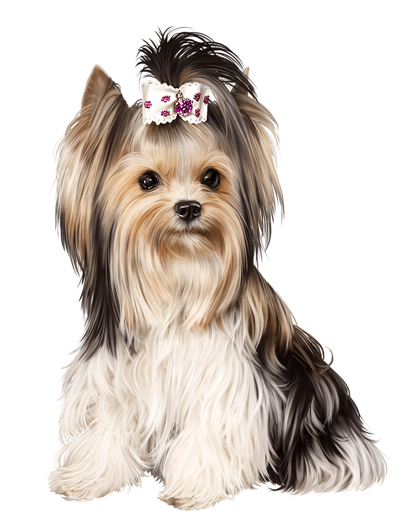 Scary Yorkie Wallpapers - Wallpaper Cave