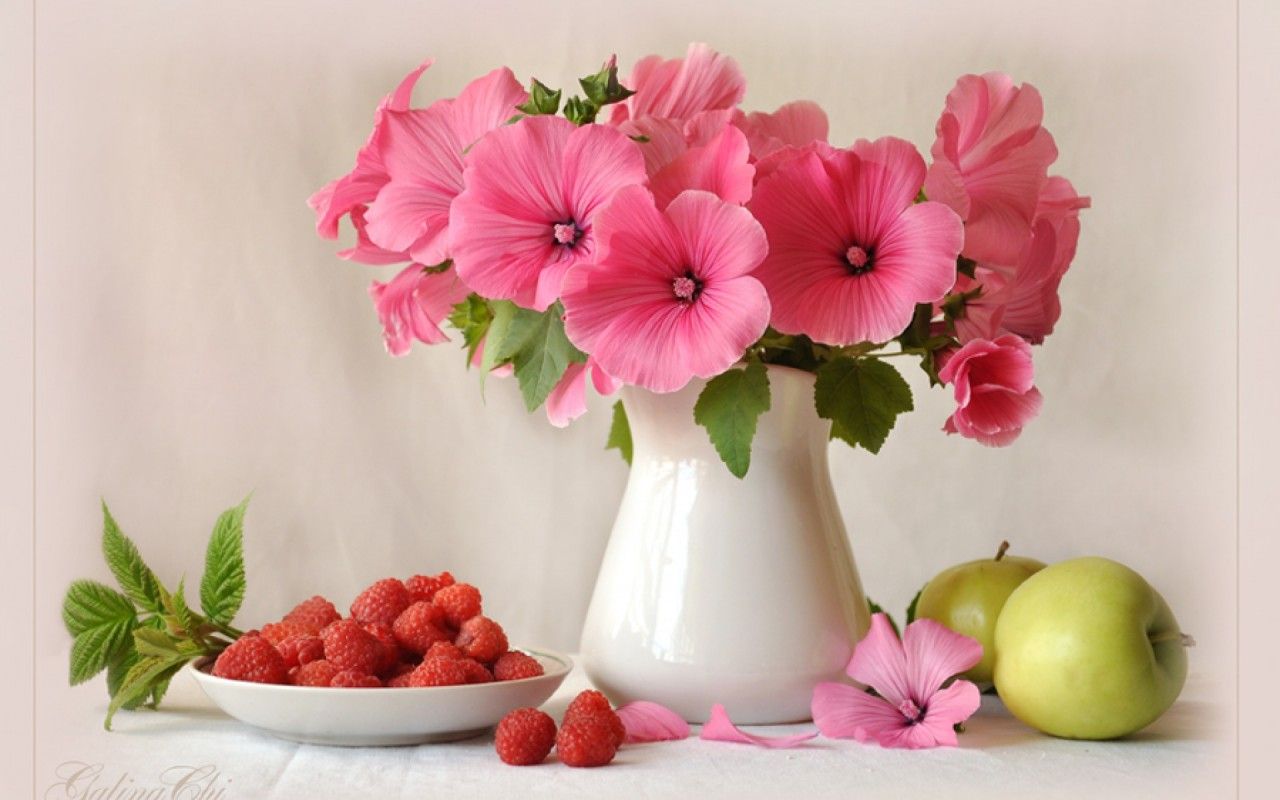 Floral Splendor Wallpapers - Wallpaper Cave