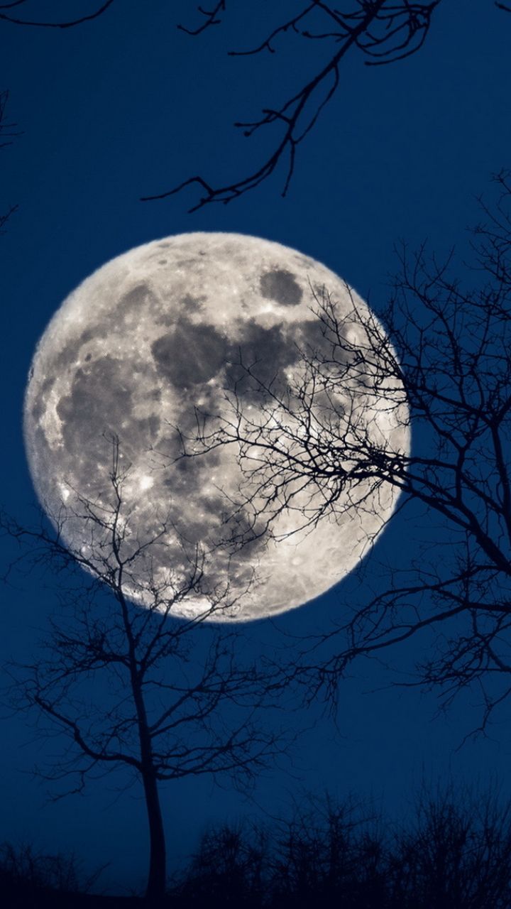 Full Moon Mobile Wallpapers - Wallpaper Cave