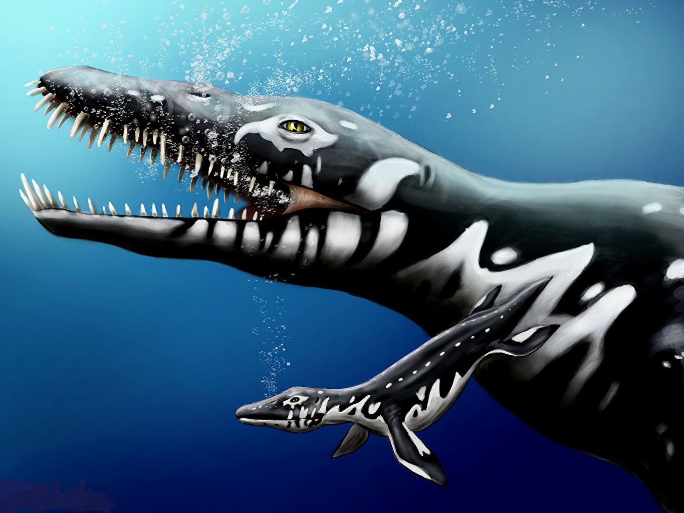 Liopleurodon Wallpapers - Wallpaper Cave