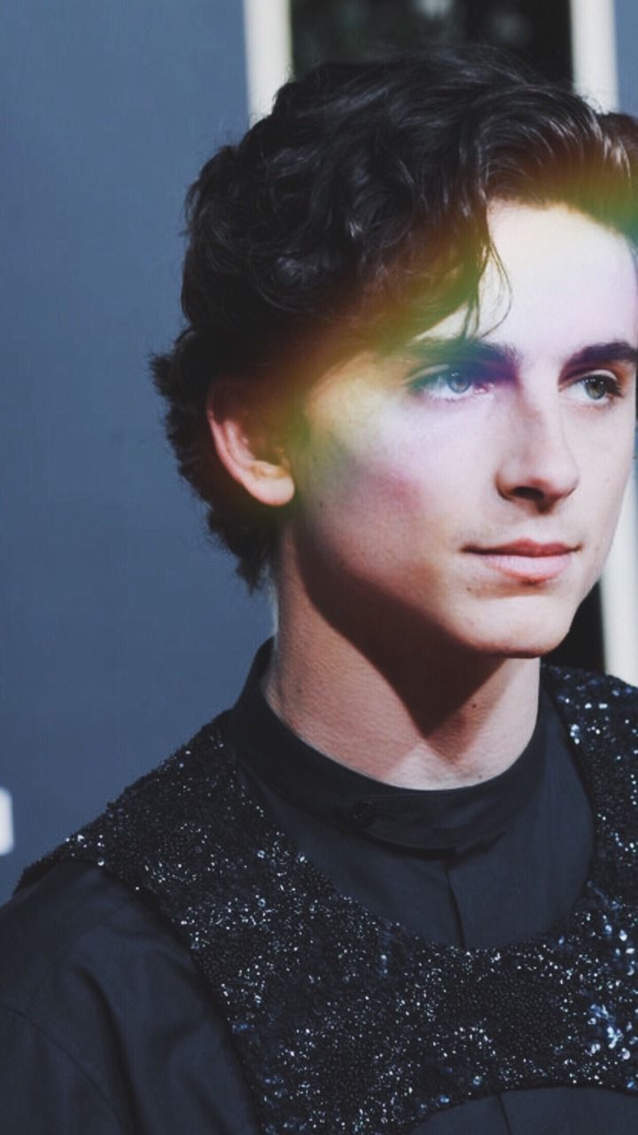 Timothee Chalamet Aesthetic Wallpapers - Wallpaper Cave