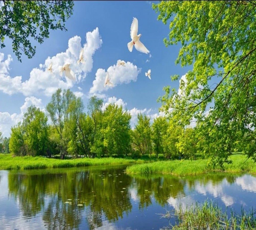 Lakeside Spring Wallpapers - Wallpaper Cave