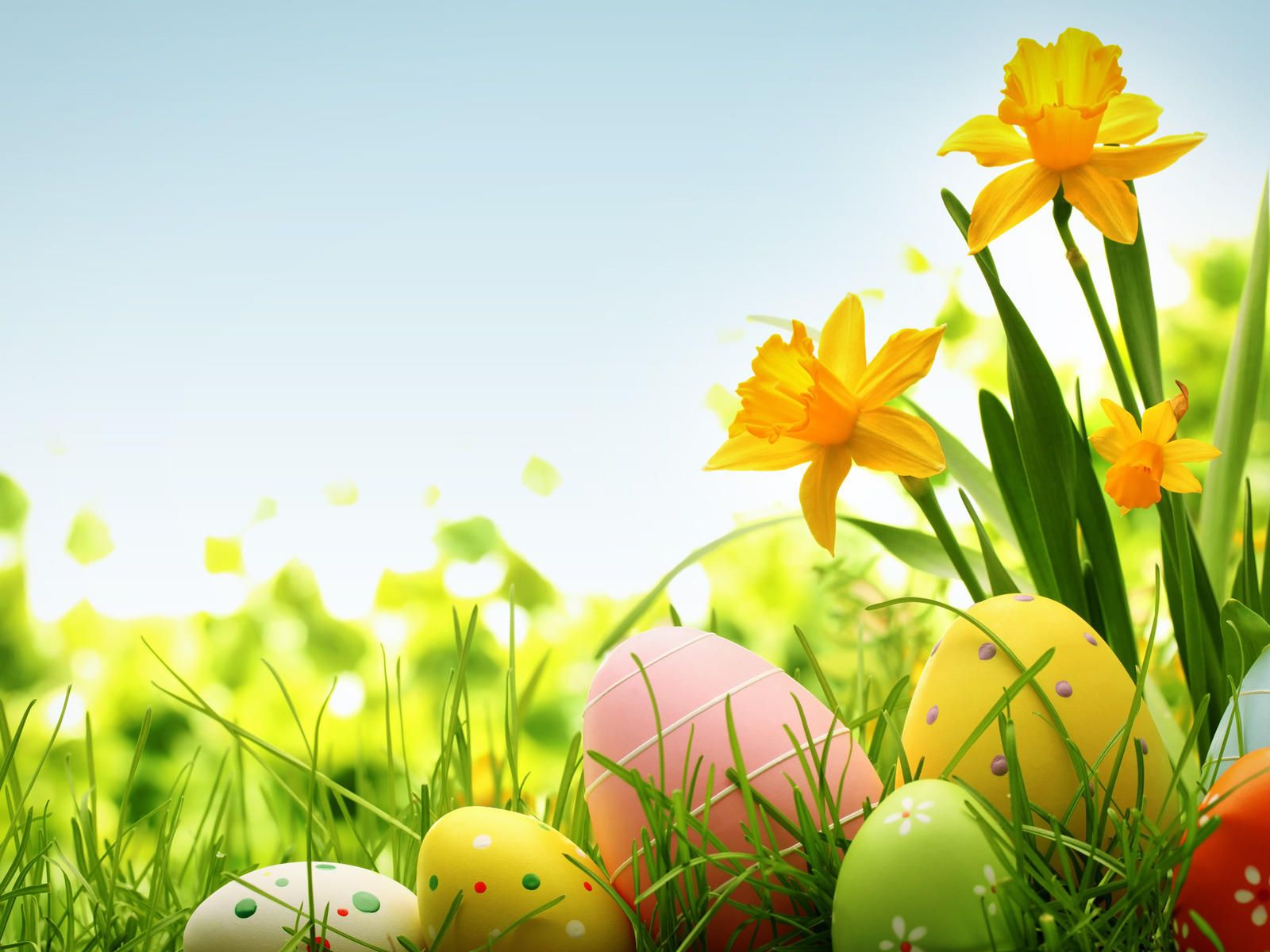 Spring Package Wallpapers - Wallpaper Cave