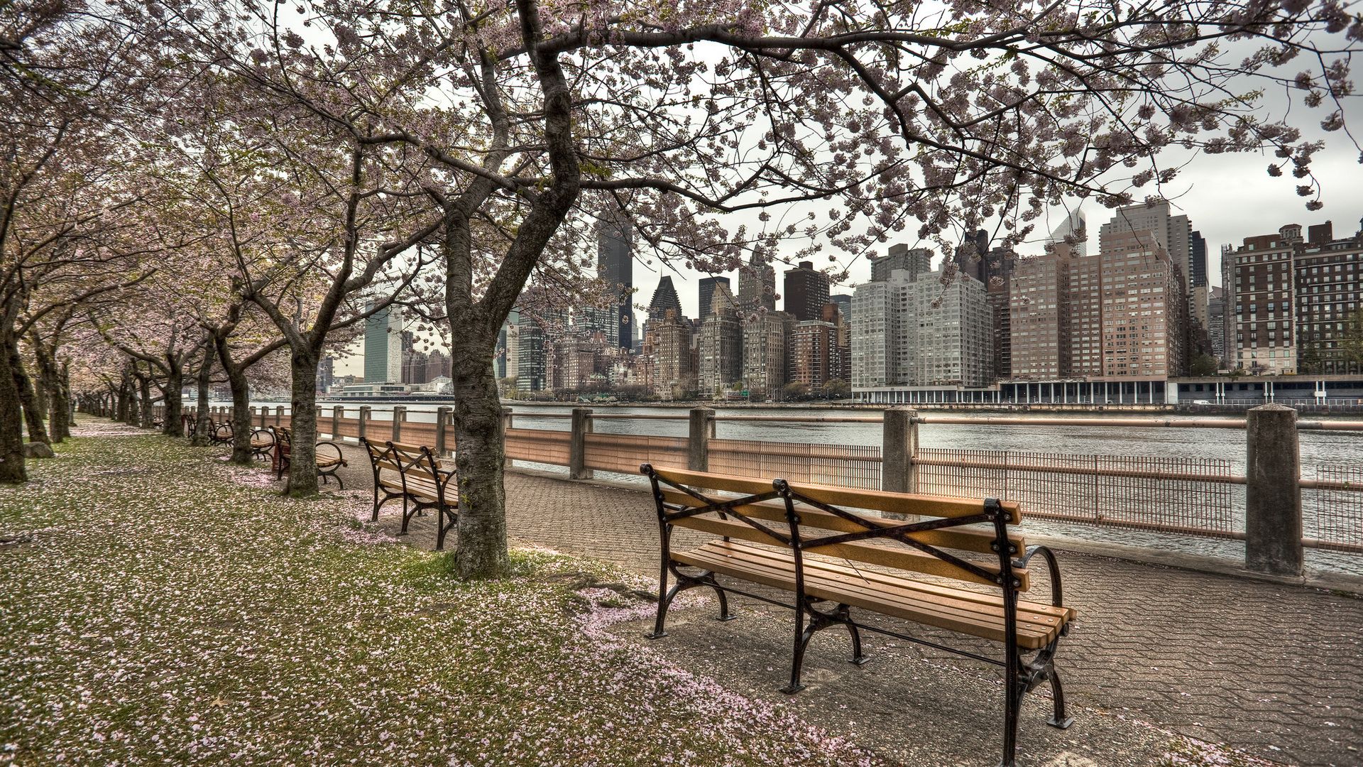 New York Spring Wallpapers - Wallpaper Cave