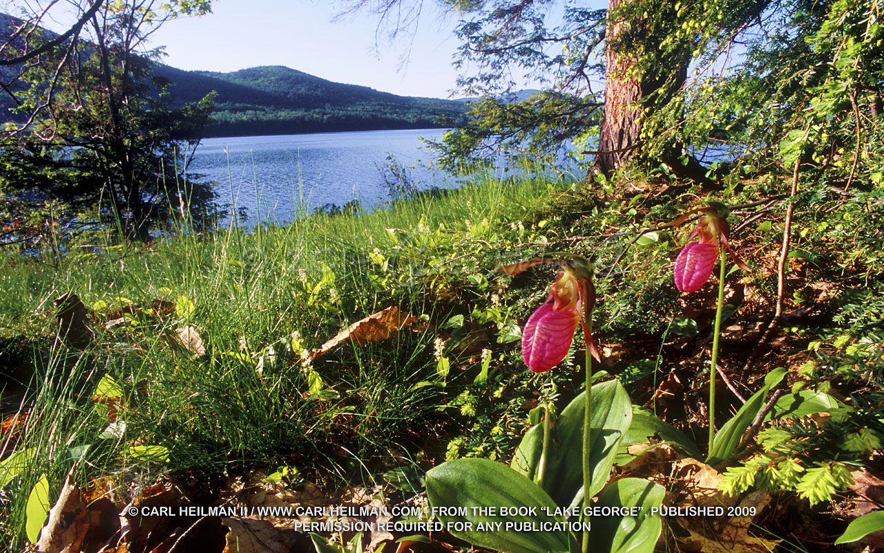 New York Spring Wallpapers - Wallpaper Cave
