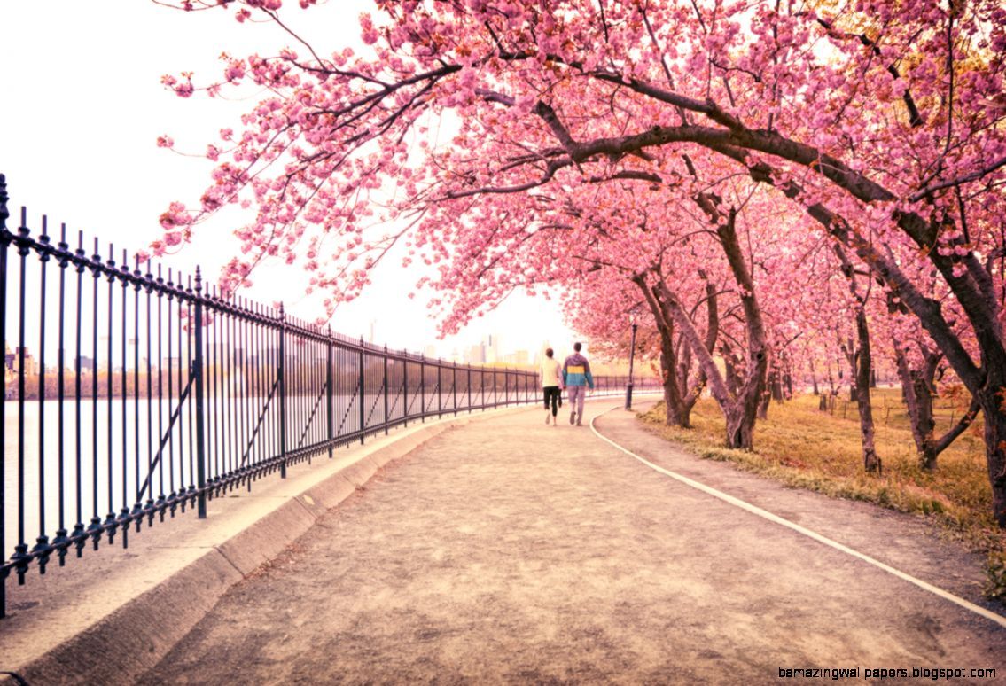 New York Spring Wallpapers - Wallpaper Cave