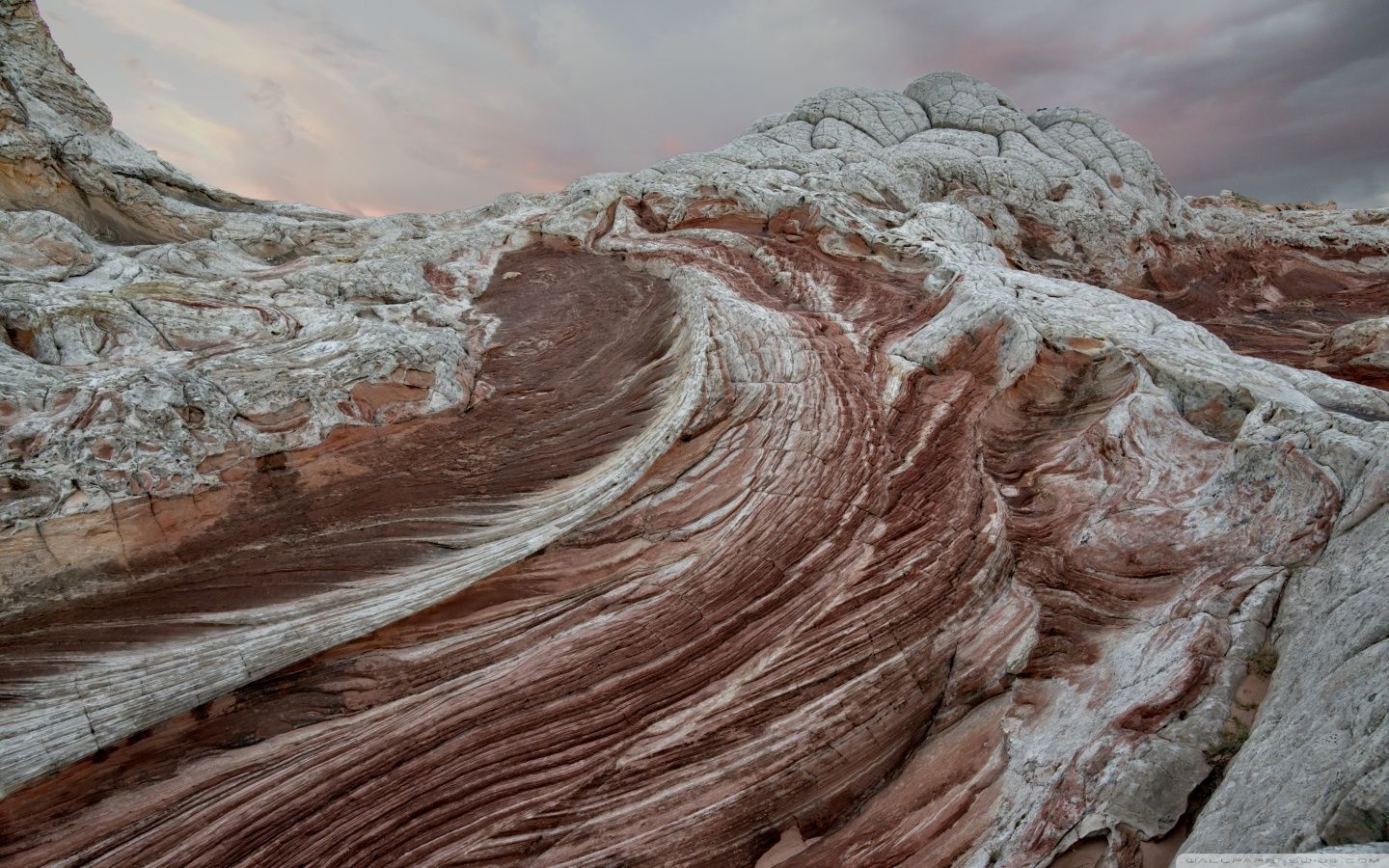 The White Pocket Geologic Wonder Wallpapers - Wallpaper Cave