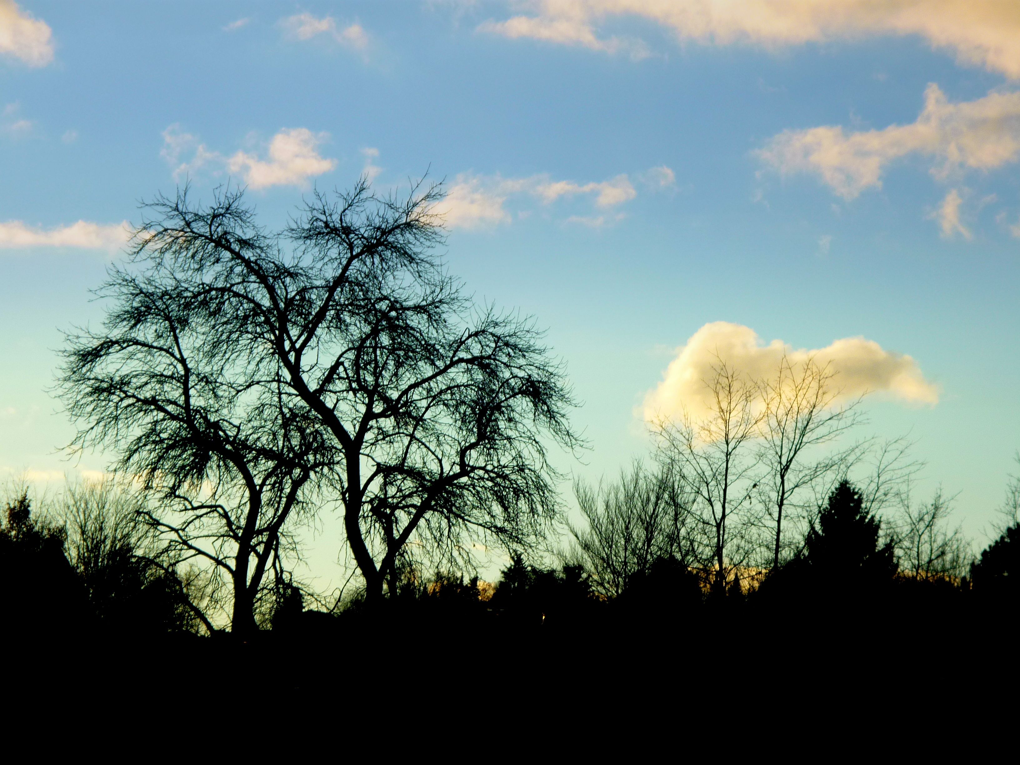 Spring Is Coming Wallpapers - Wallpaper Cave