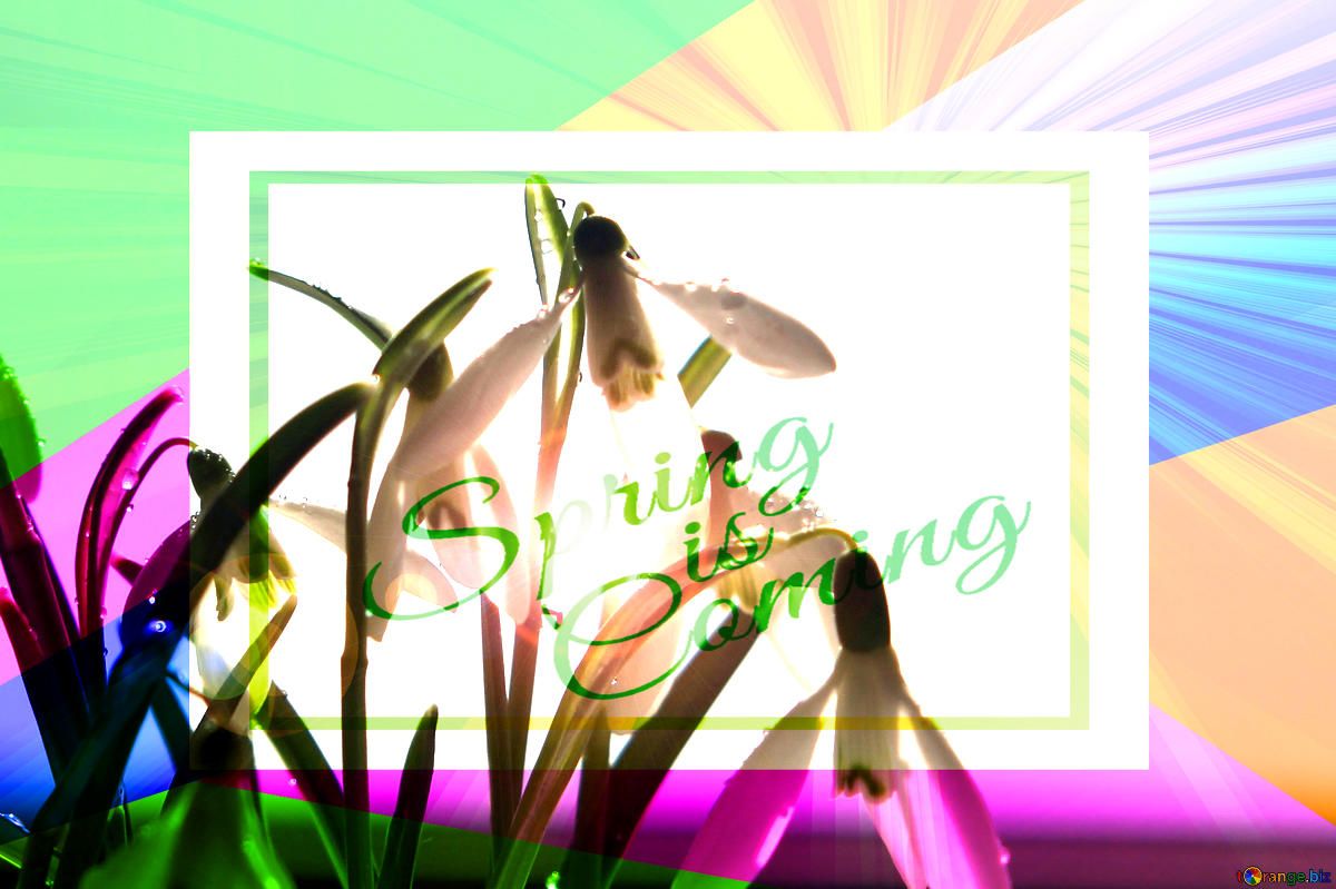 Spring Is Coming Wallpapers - Wallpaper Cave