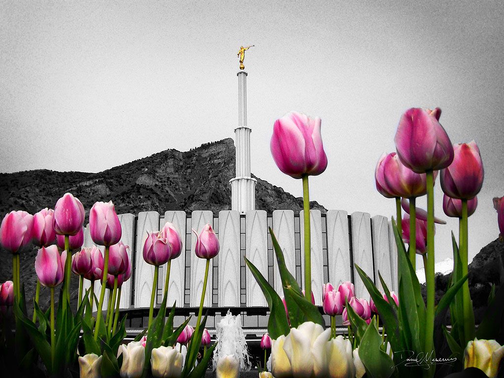 Provo City Wallpapers - Wallpaper Cave