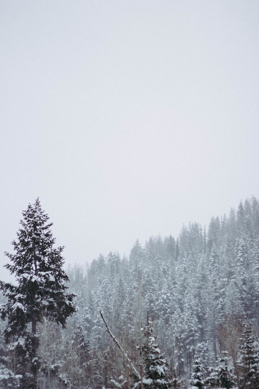 Provo City Wallpapers - Wallpaper Cave