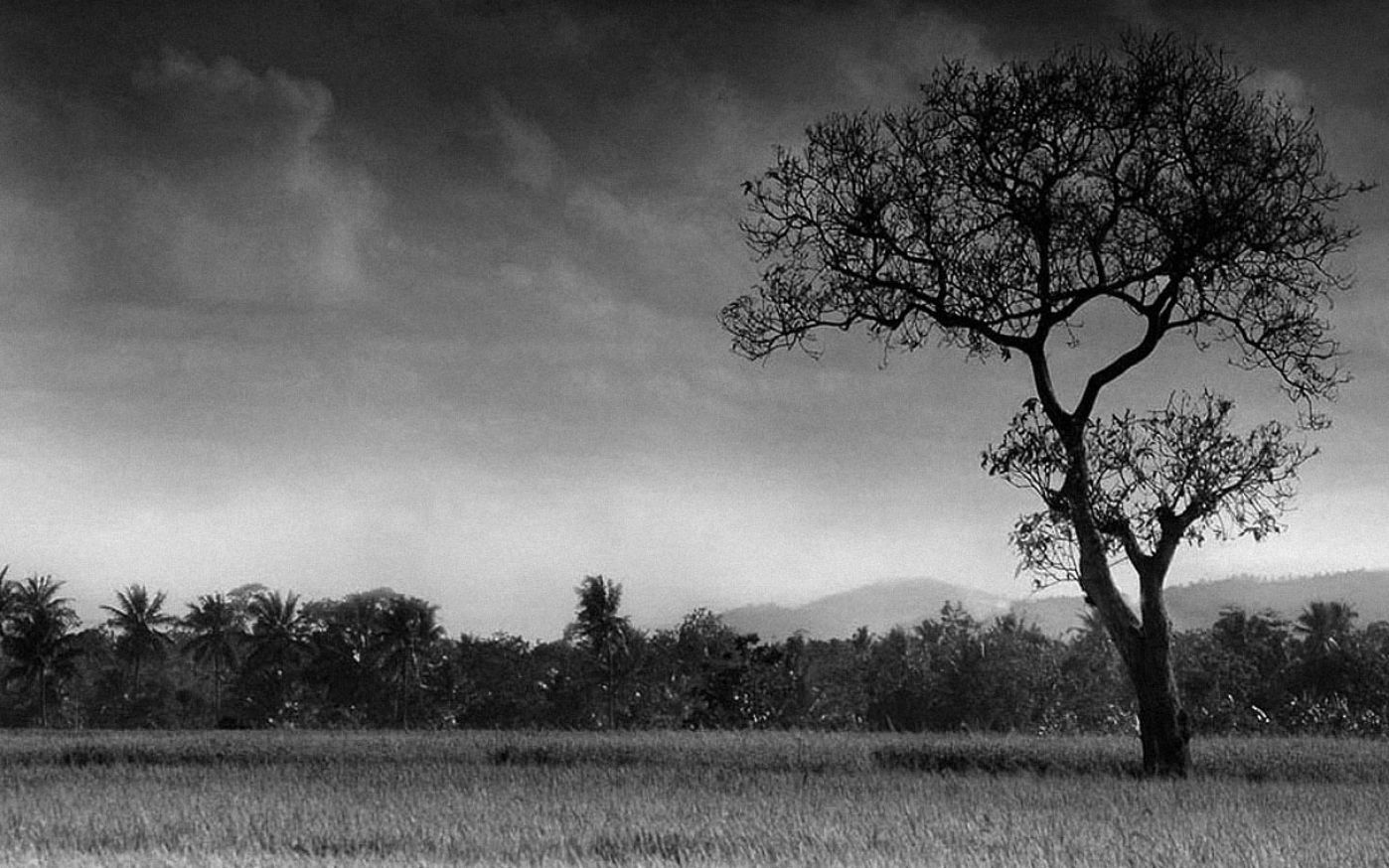 Computer White Nature Wallpapers - Wallpaper Cave