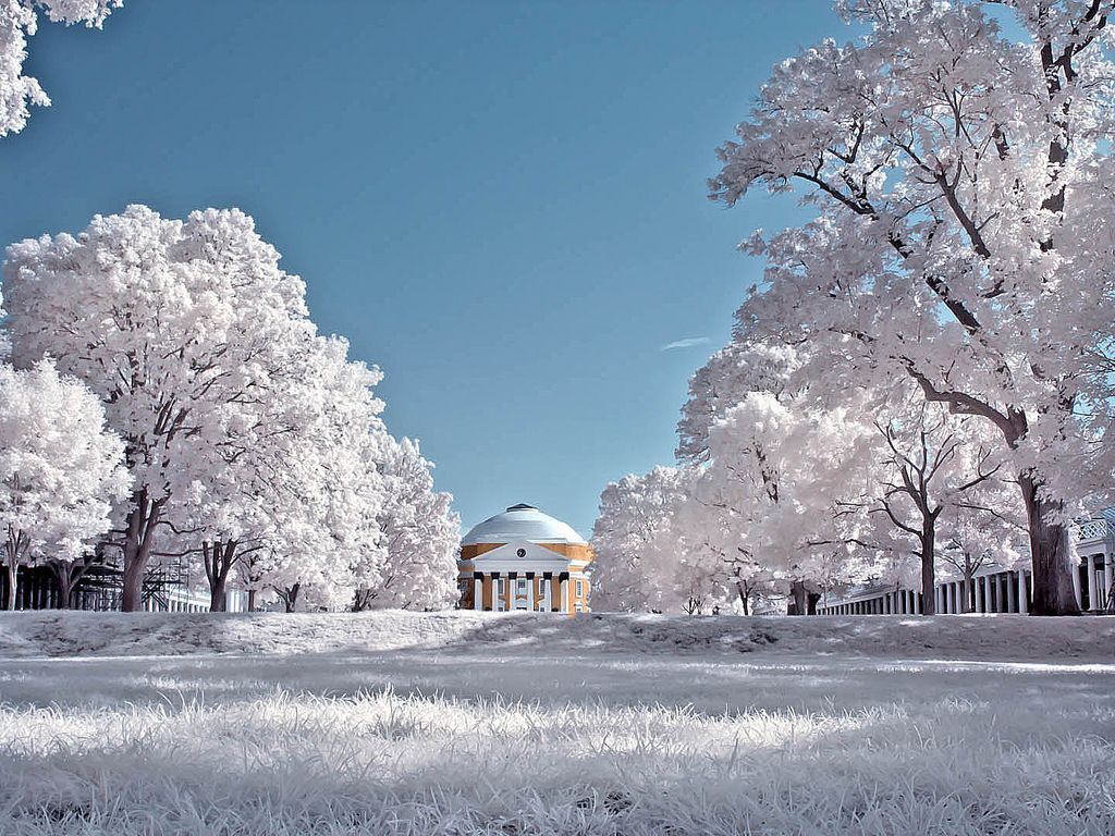 Uva Rotunda Mobile Wallpapers - Wallpaper Cave