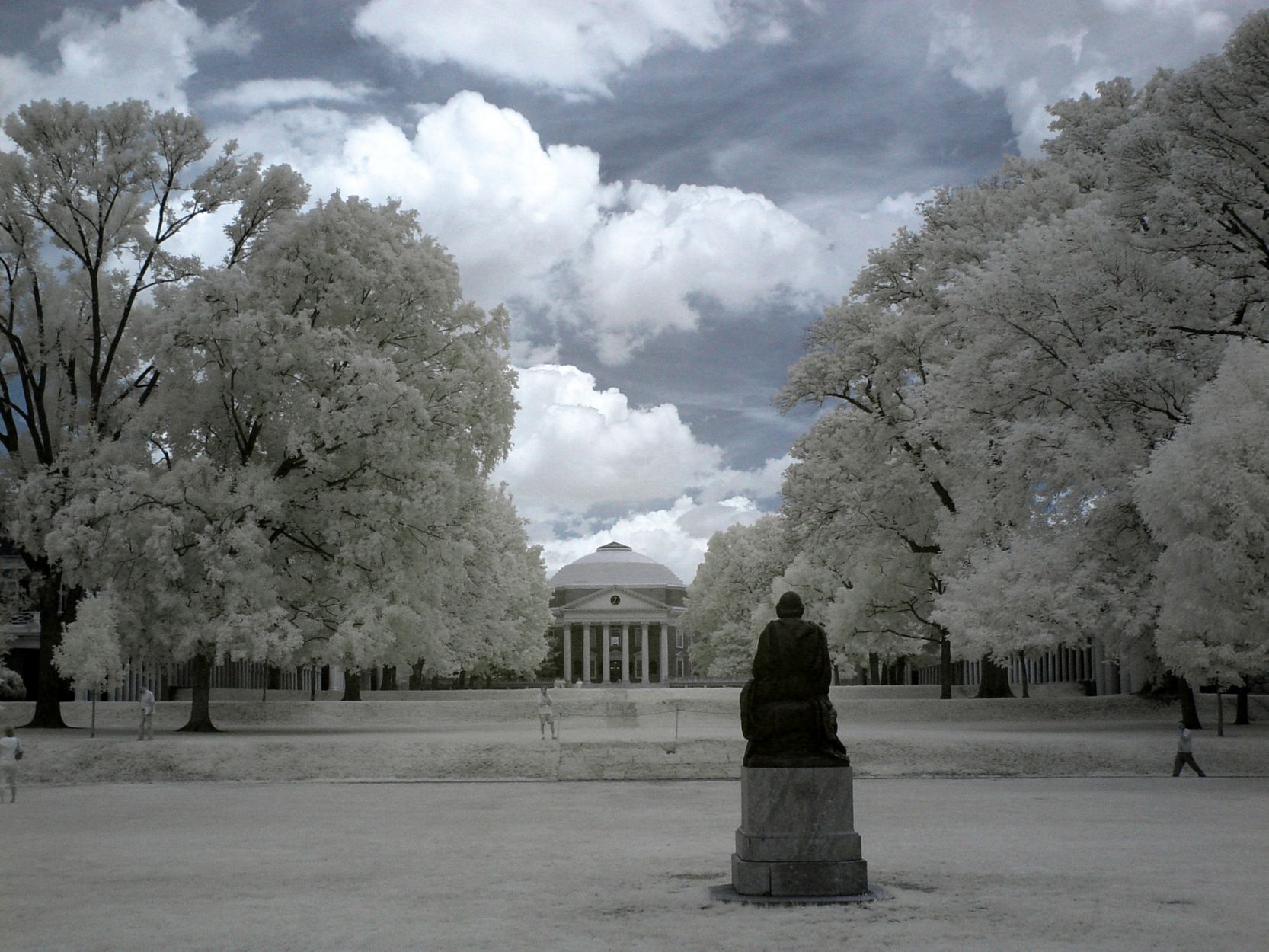 Uva Rotunda Mobile Wallpapers - Wallpaper Cave