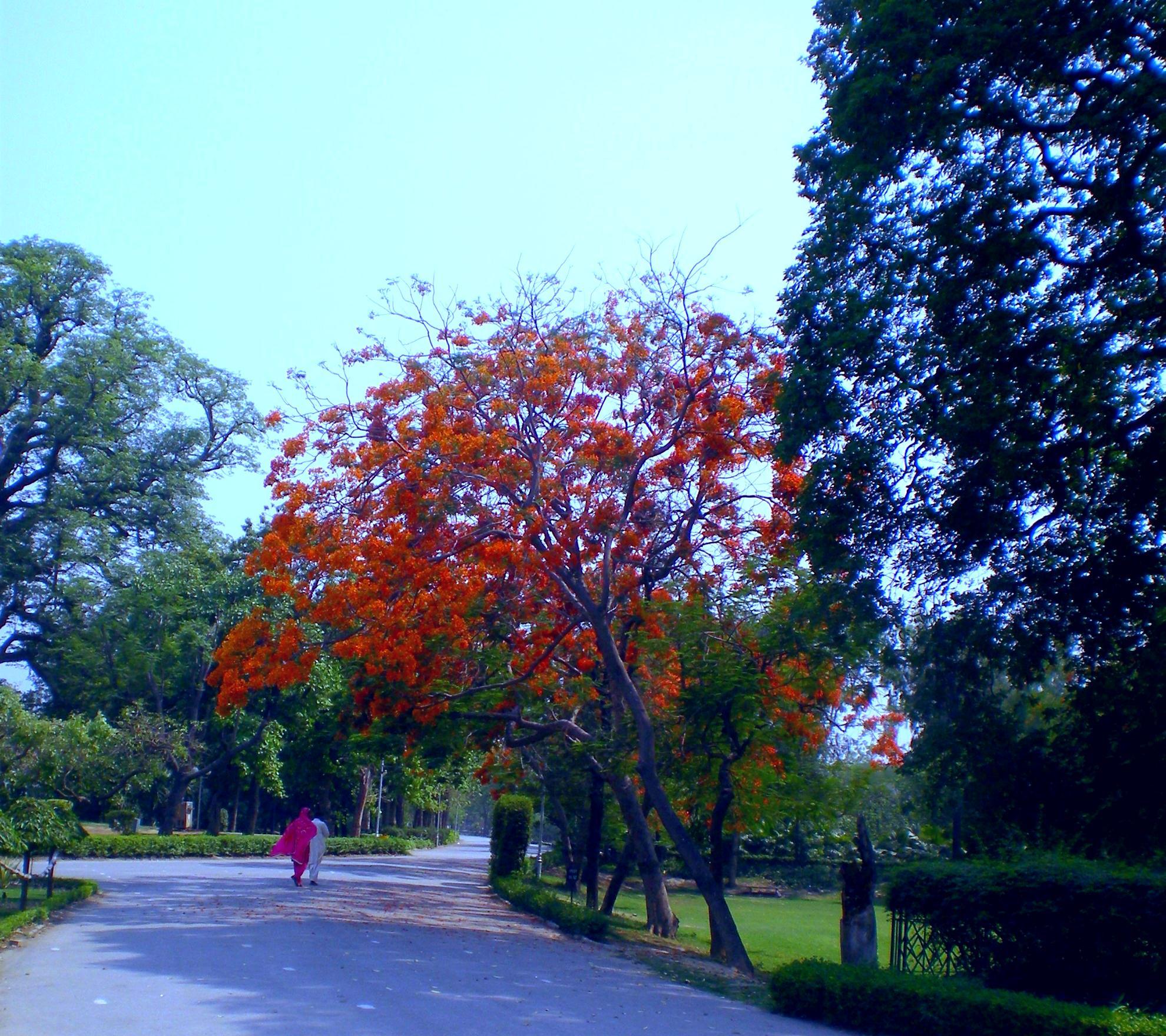 Spring Paradise Wallpapers - Wallpaper Cave