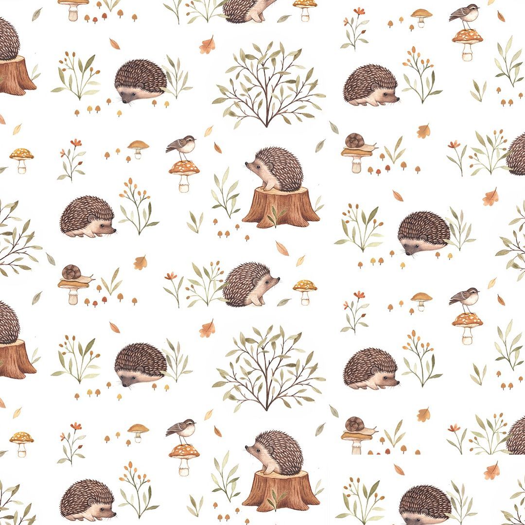 Hedgehog In Spring Wallpapers - Wallpaper Cave