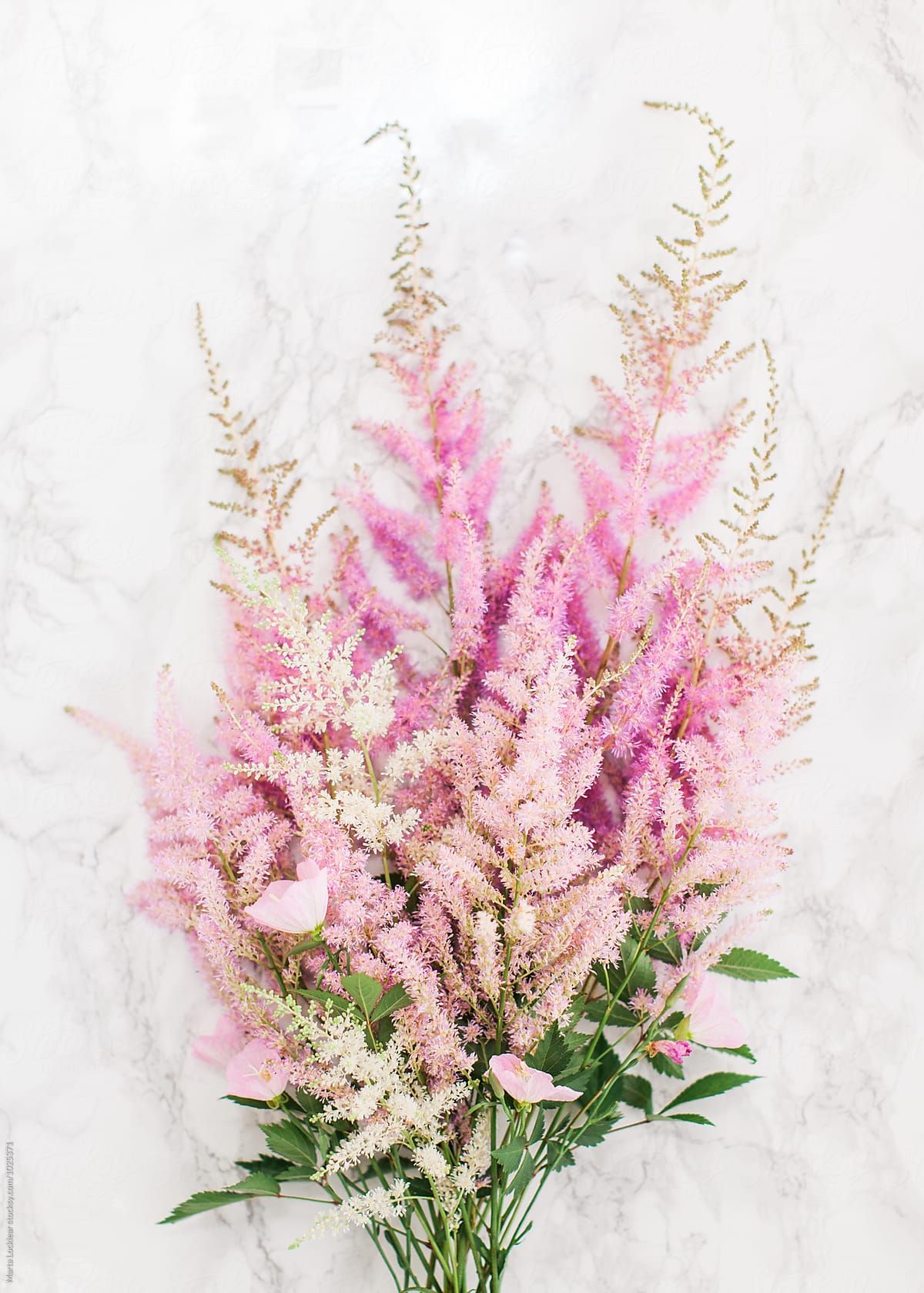 Primrose Bouquet Wallpapers - Wallpaper Cave