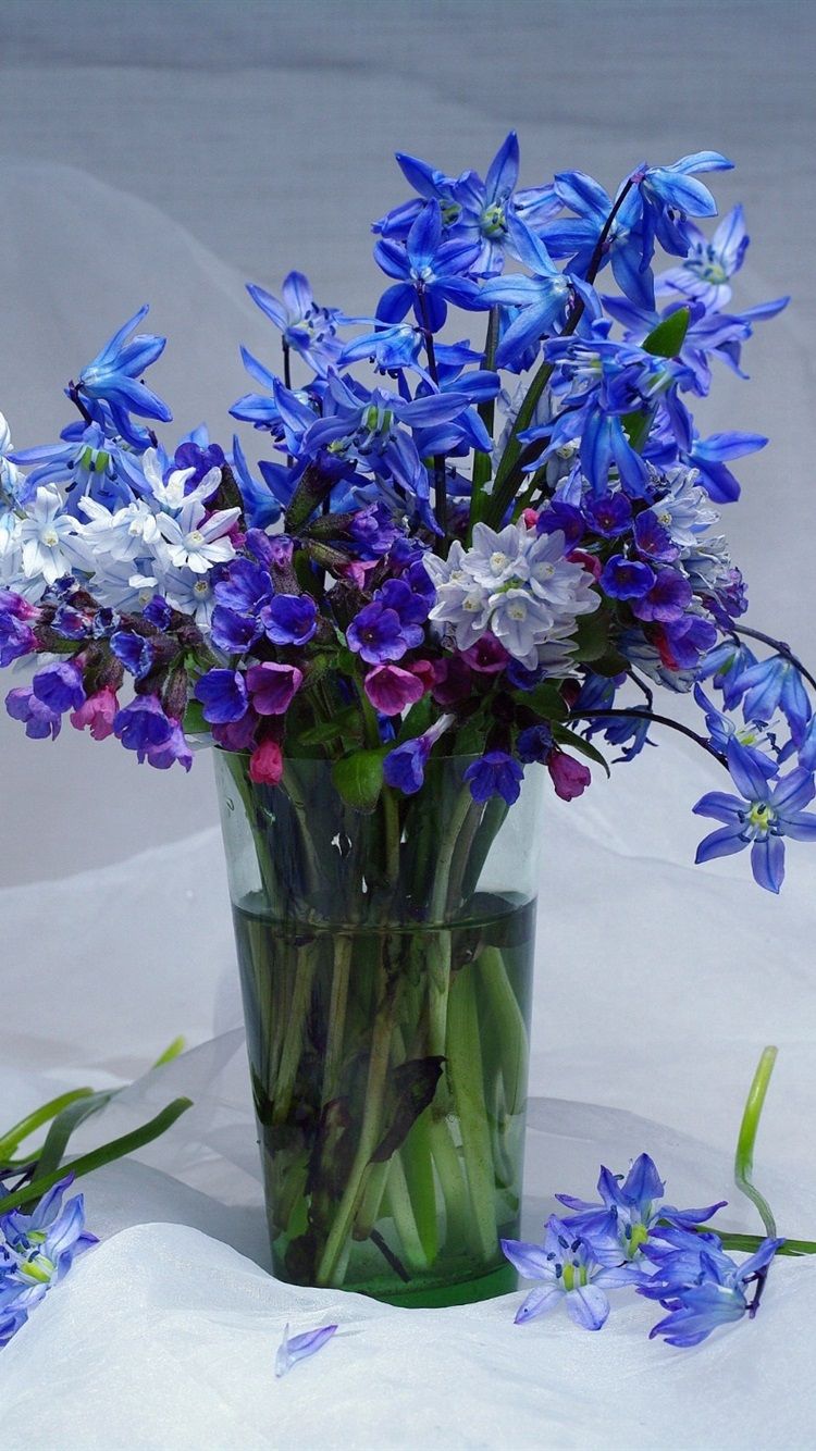 Primrose Bouquet Wallpapers - Wallpaper Cave