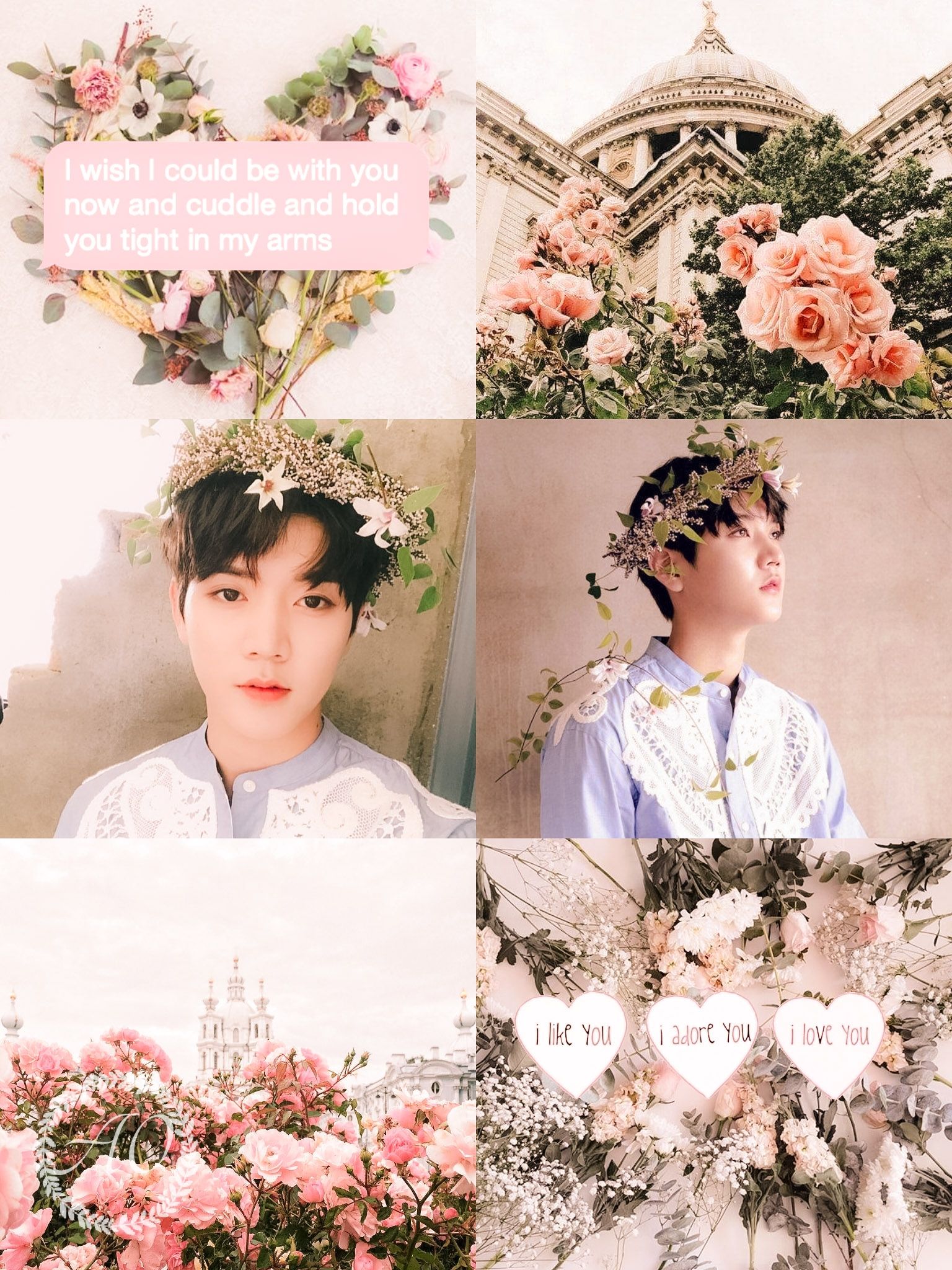 Ren Nu'est Wallpapers - Wallpaper Cave