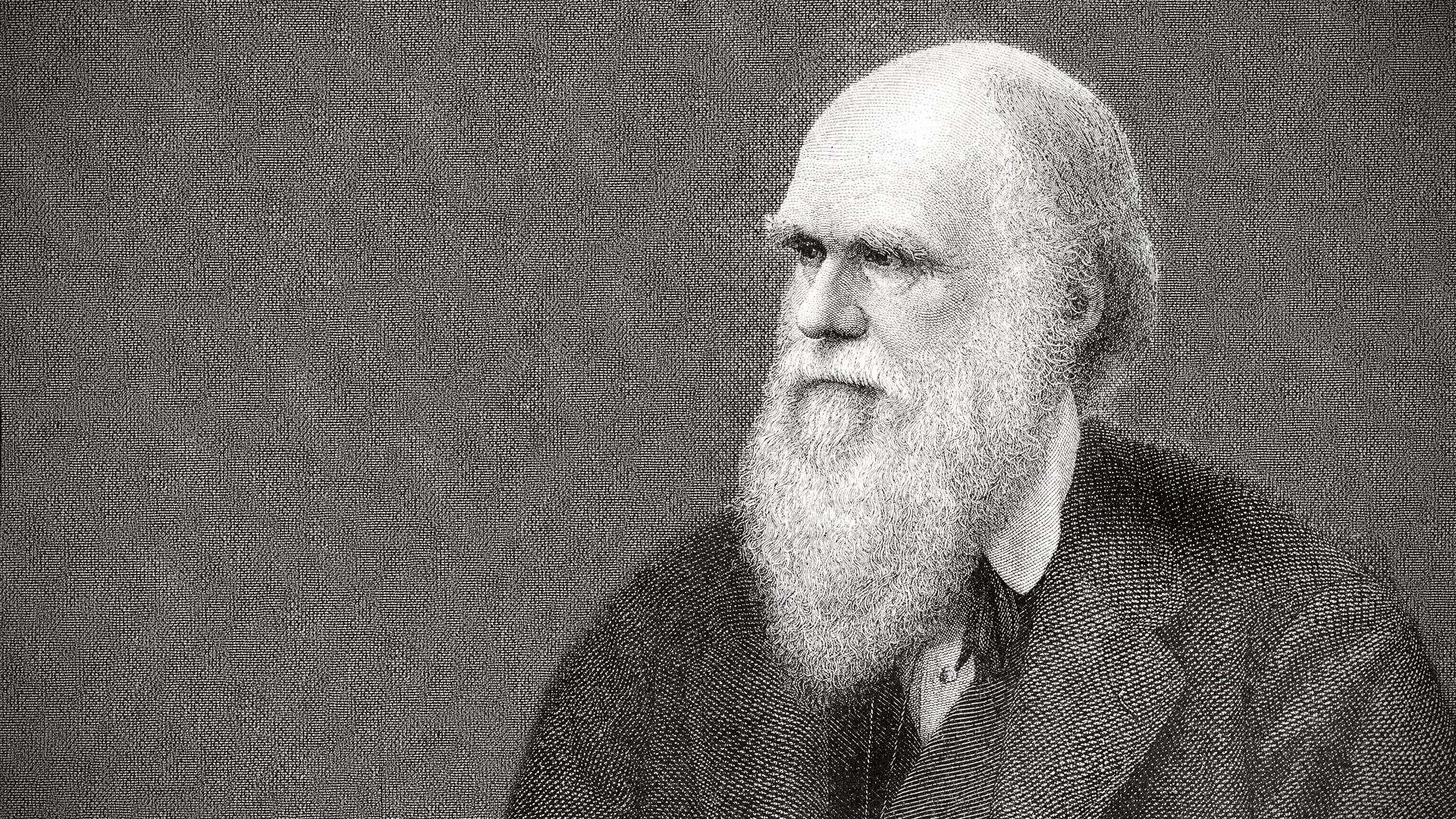 Charles Darwin Computer Wallpapers - Wallpaper Cave
