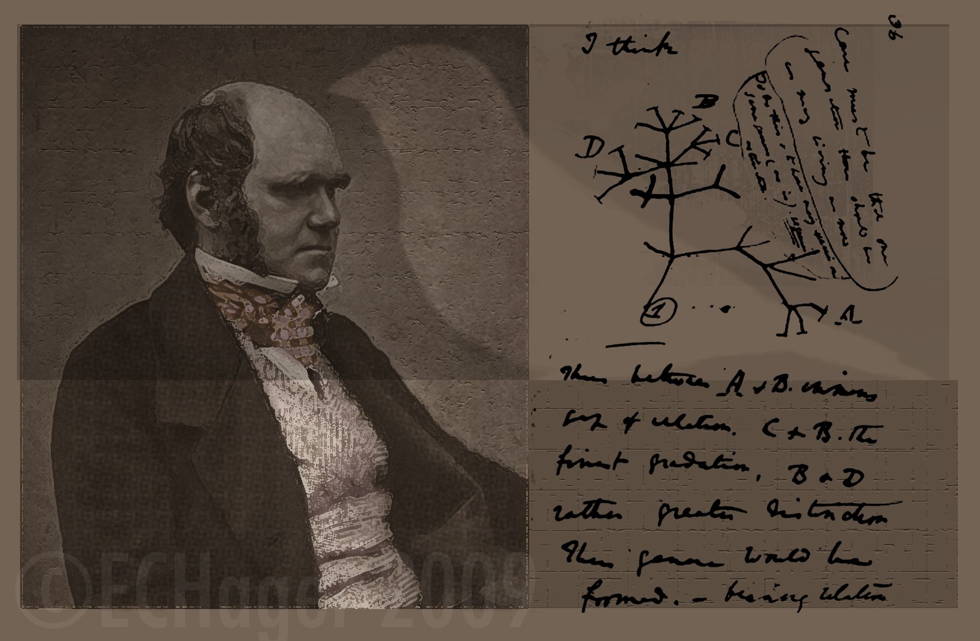 Charles Darwin Computer Wallpapers - Wallpaper Cave