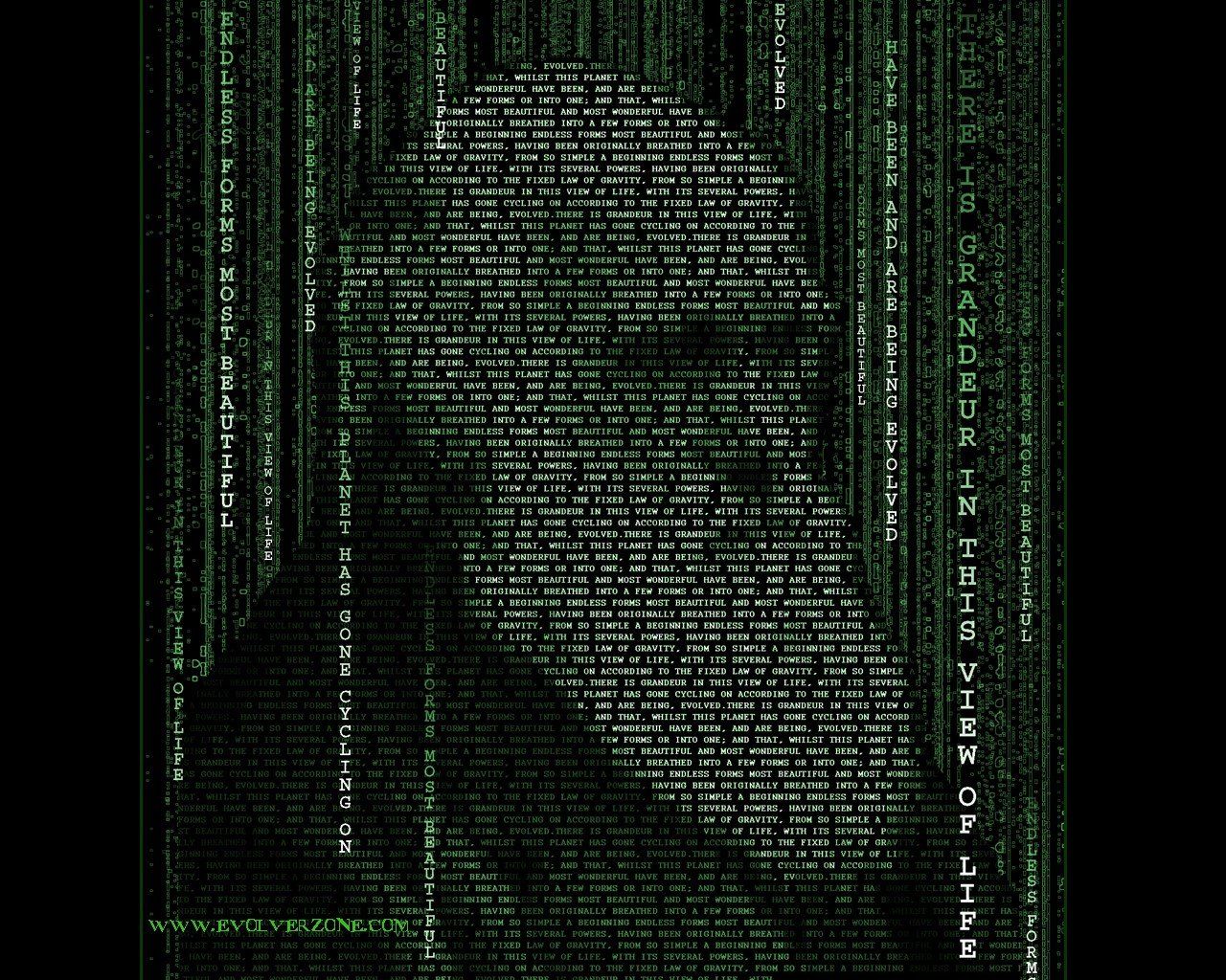 Charles Darwin Computer Wallpapers - Wallpaper Cave