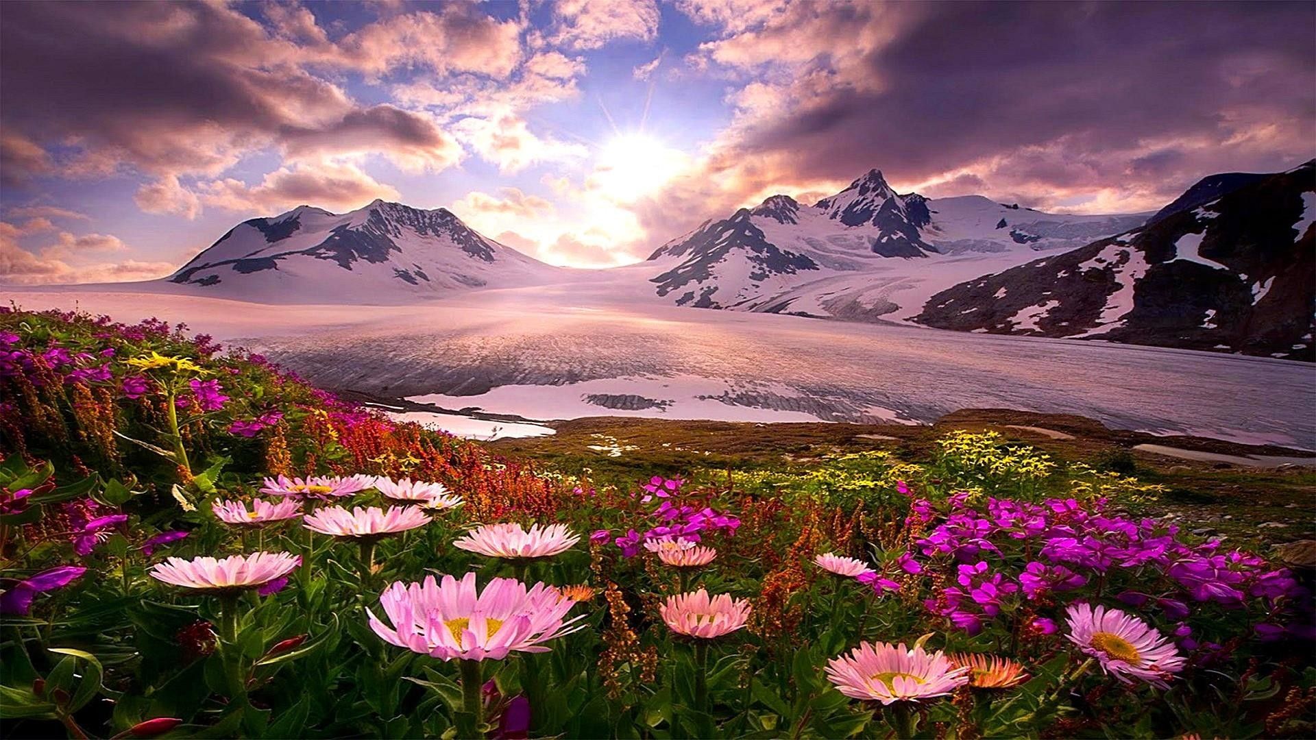Spring Alaska Wallpapers - Wallpaper Cave