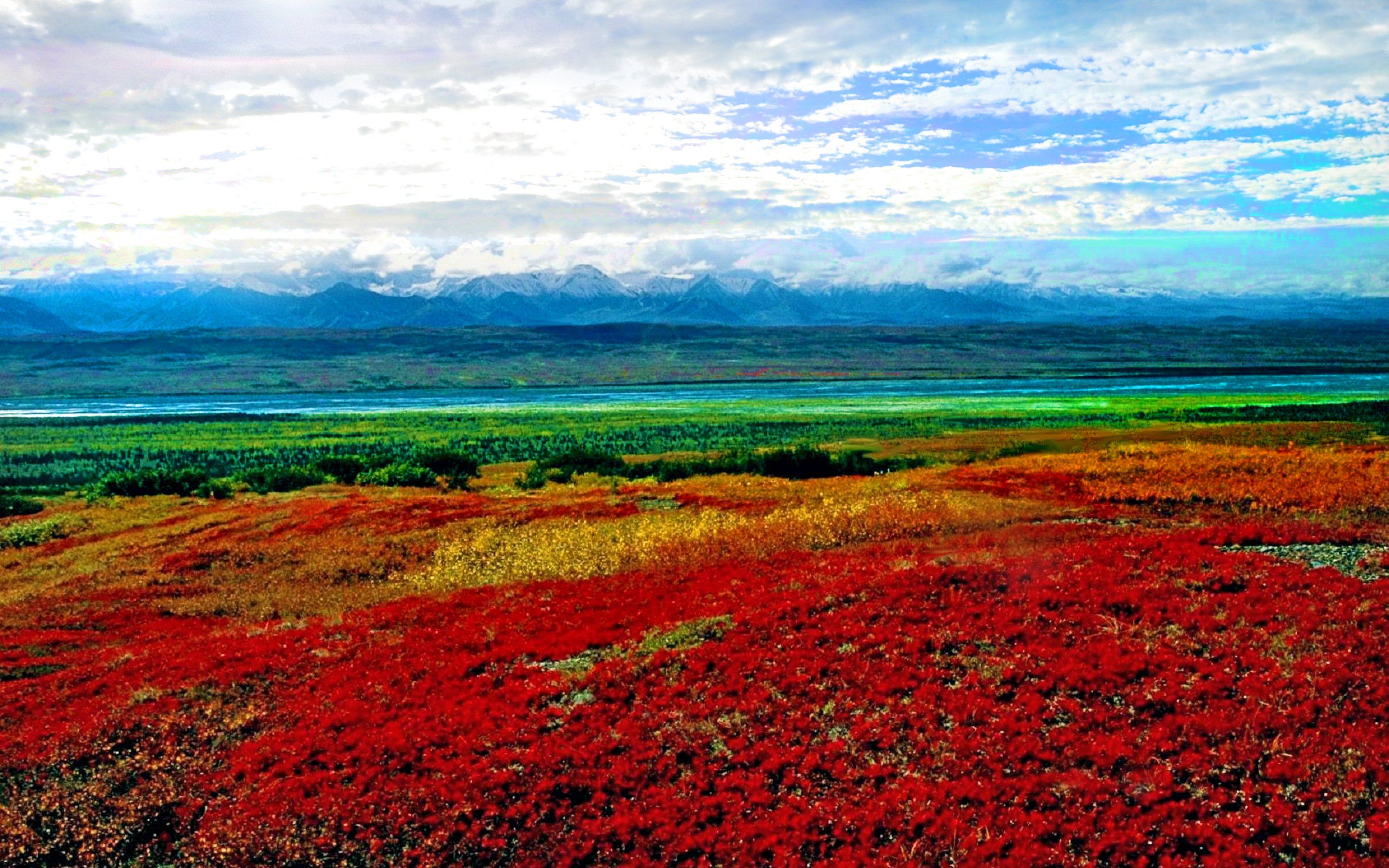 Spring Alaska Wallpapers - Wallpaper Cave