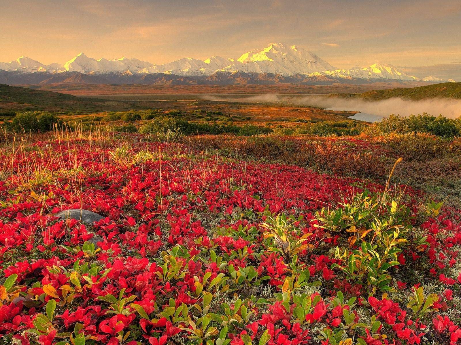 Spring Alaska Wallpapers - Wallpaper Cave