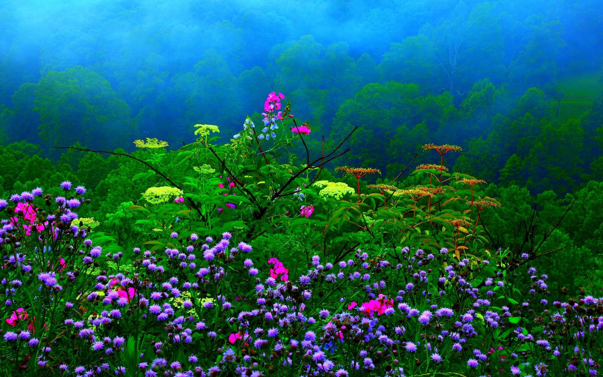 Rainy Spring Wallpapers - Wallpaper Cave