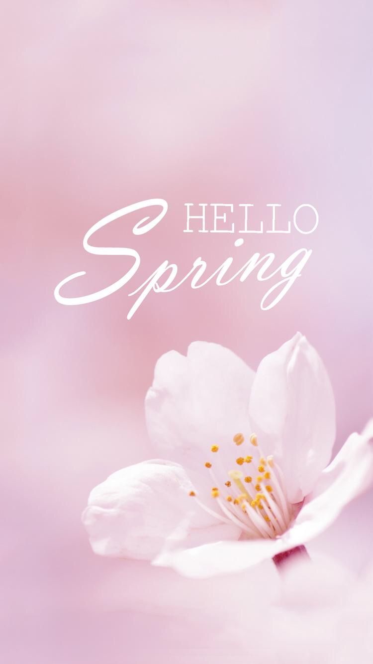 Spring Hello Wallpapers - Wallpaper Cave