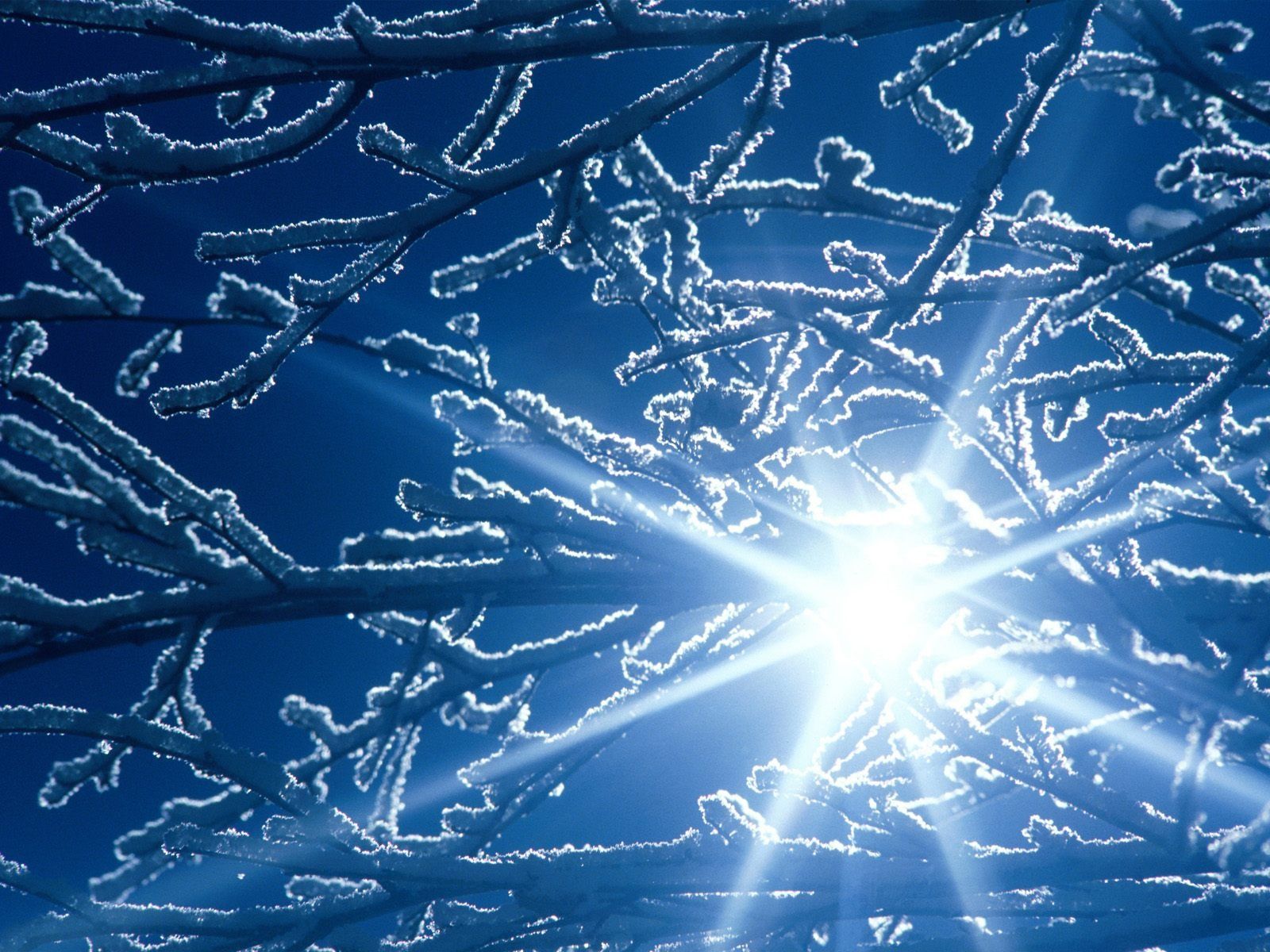 Winter To Spring Wallpapers - Wallpaper Cave