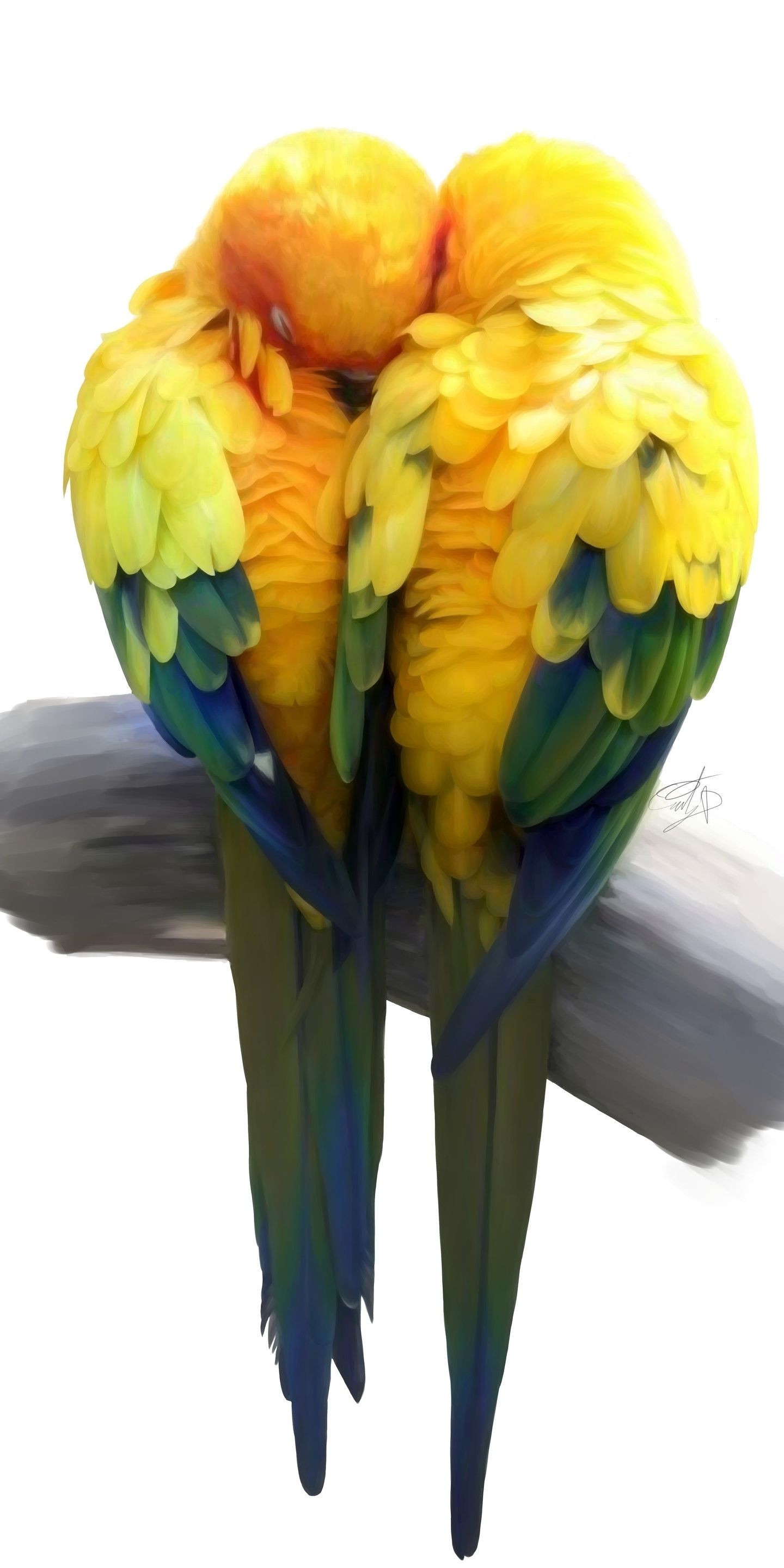 Parrot Security Os Wallpapers Wallpaper Cave