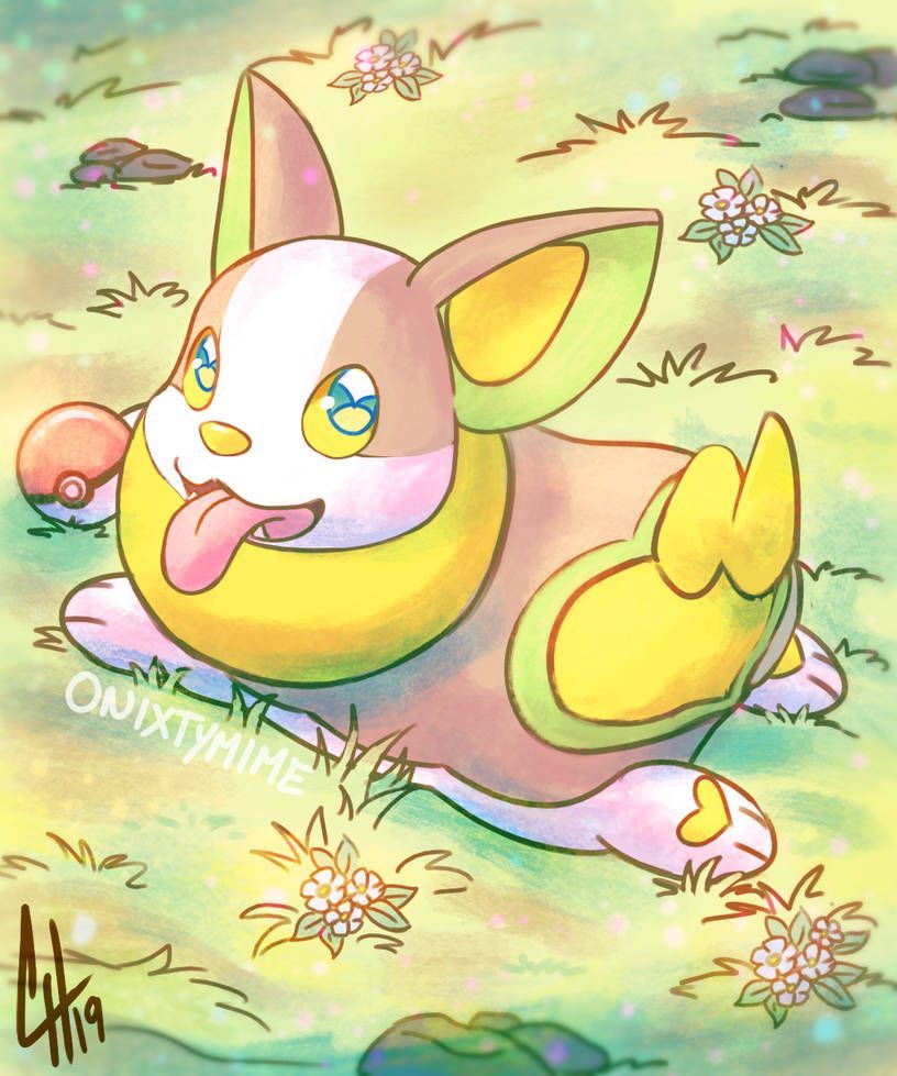 Yamper Wallpapers - Wallpaper Cave