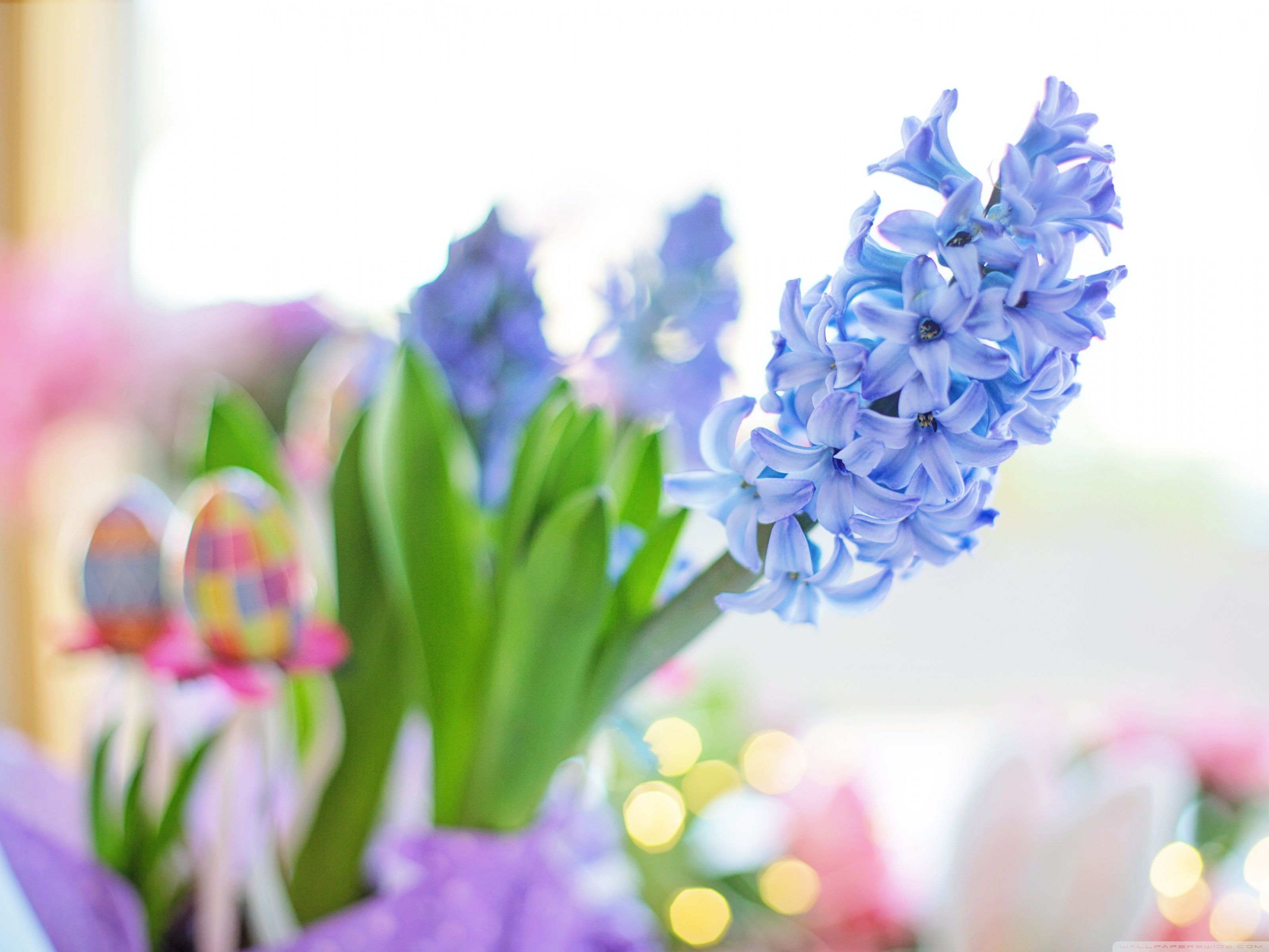 Spring Season 2020 Wallpapers - Wallpaper Cave