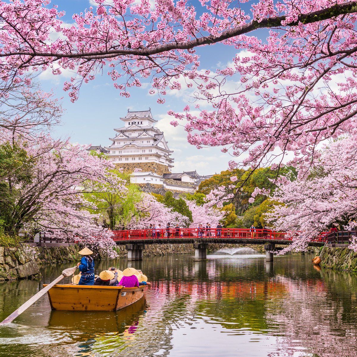 Tokyo Spring Wallpapers - Wallpaper Cave