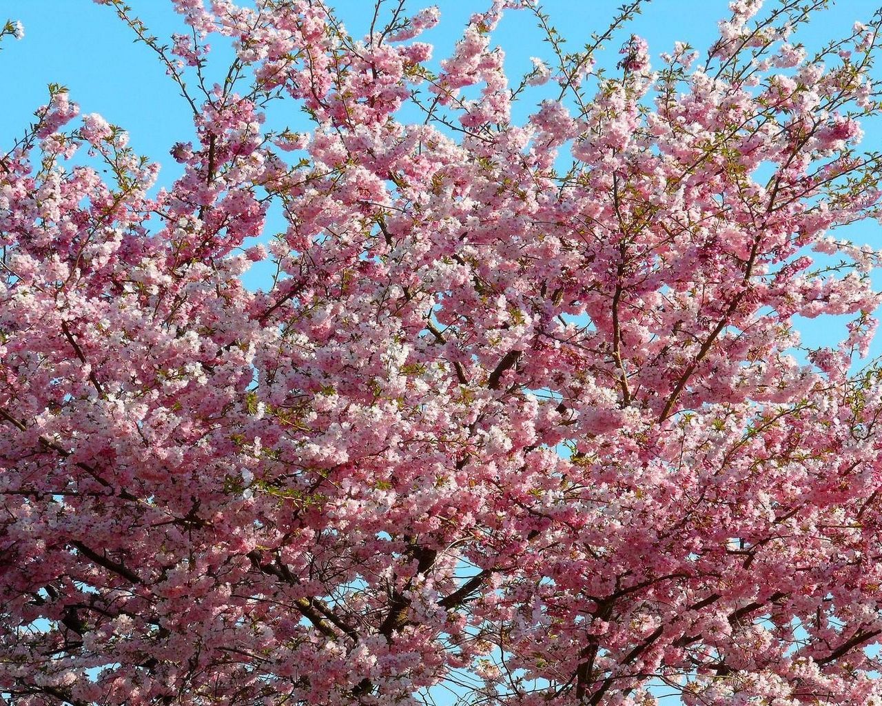 Spring Mood Wallpapers - Wallpaper Cave