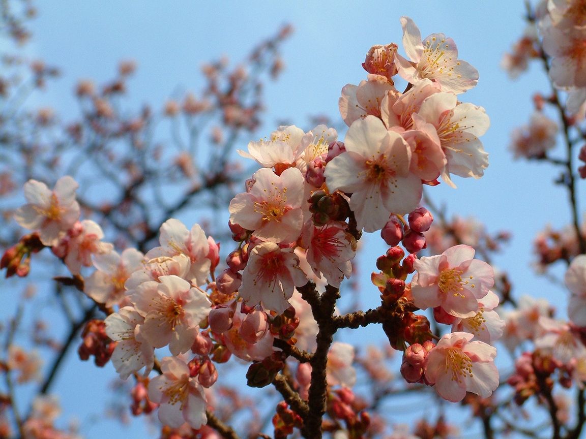 Spring Mood Wallpapers - Wallpaper Cave